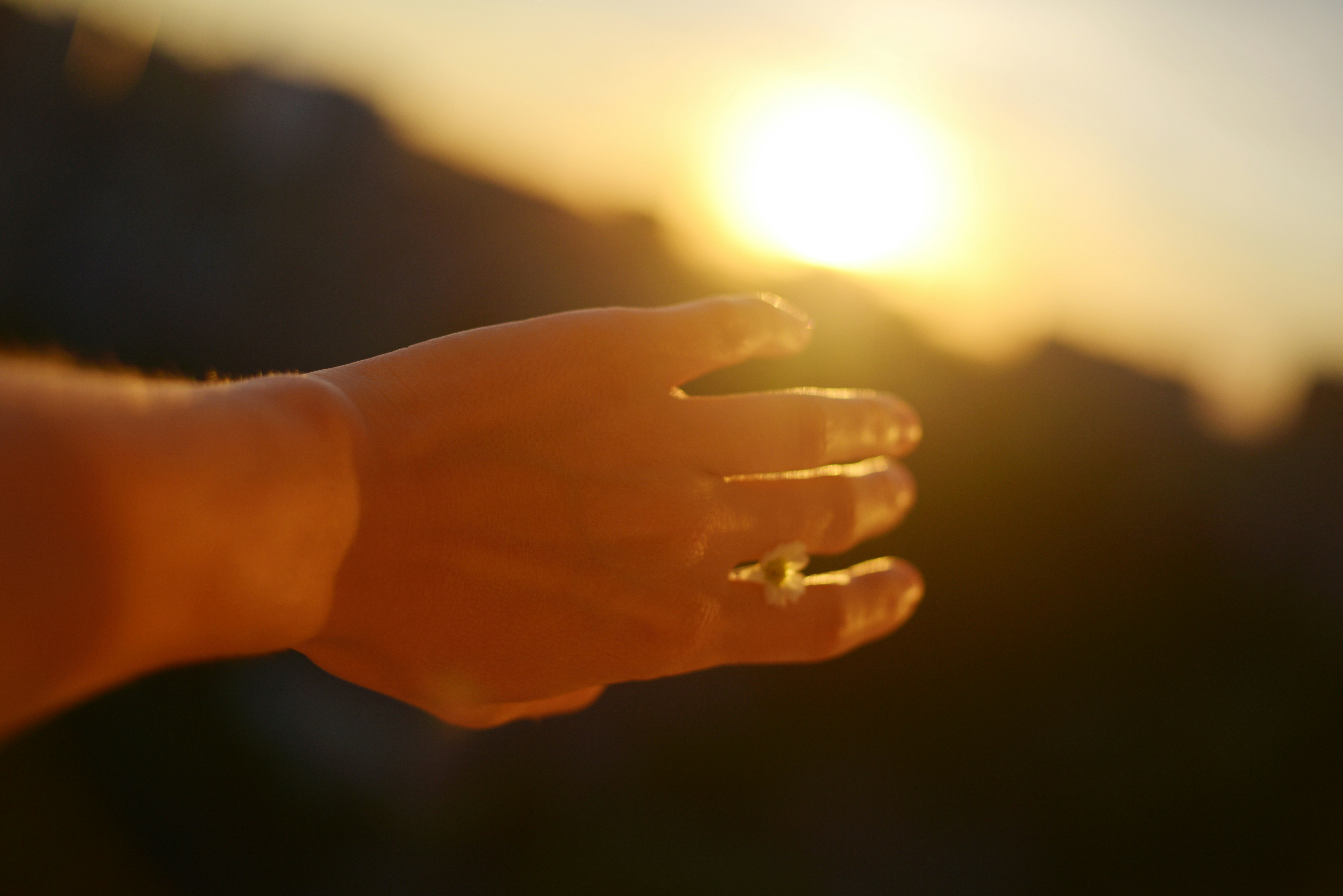 Sunset Glove: a Tender Moment with a Delicate Ring