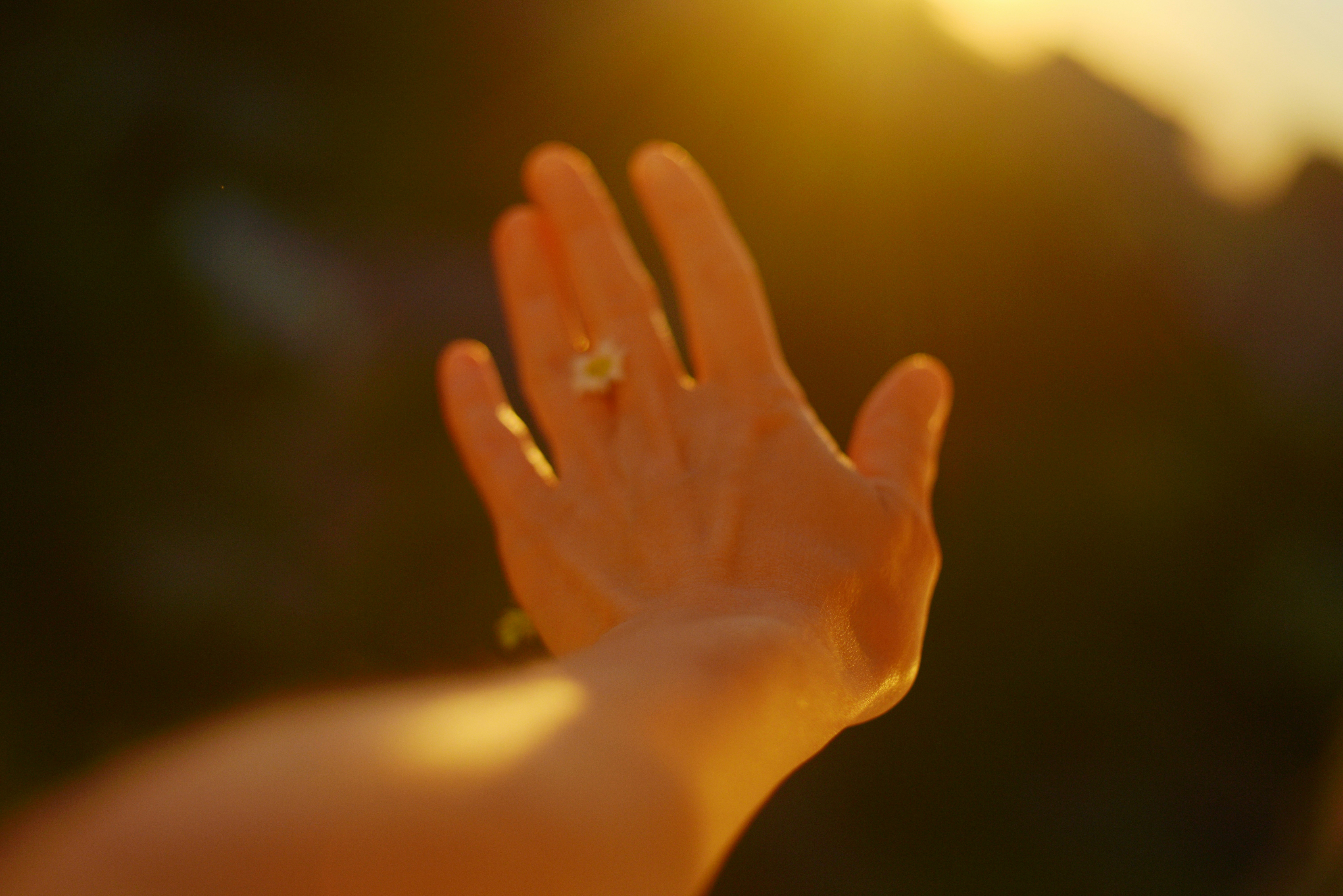 Sunlit Reach: A Hand Reaches Toward the Quiet Golden Hour