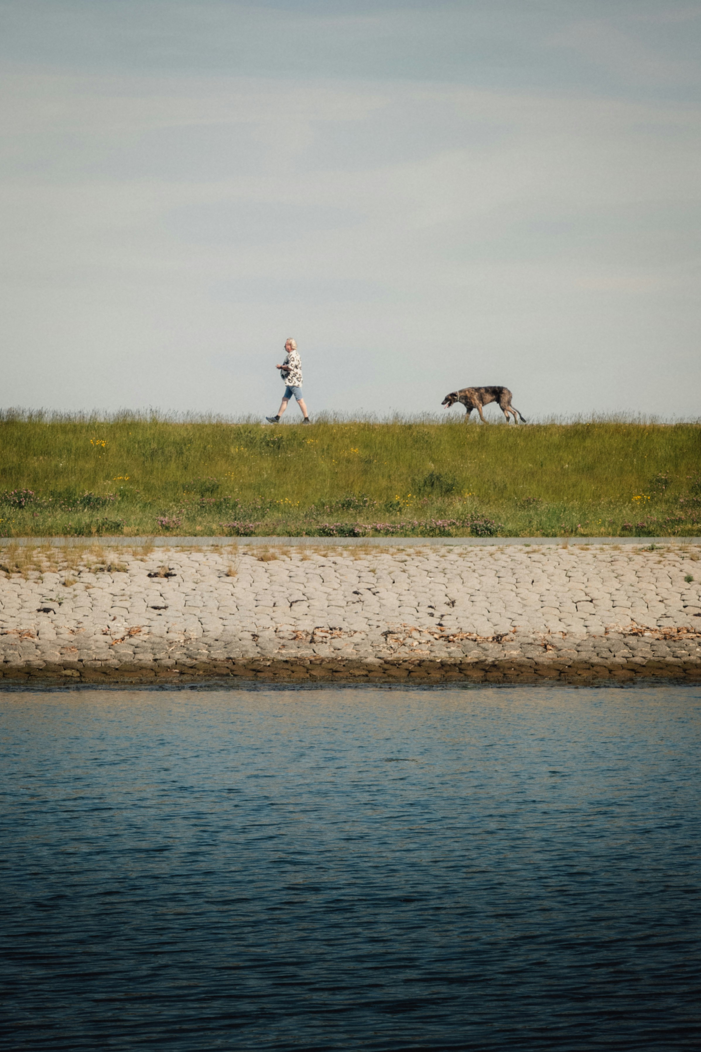 Jogger and Wanderer: A Quiet Walk Along the Riverbank