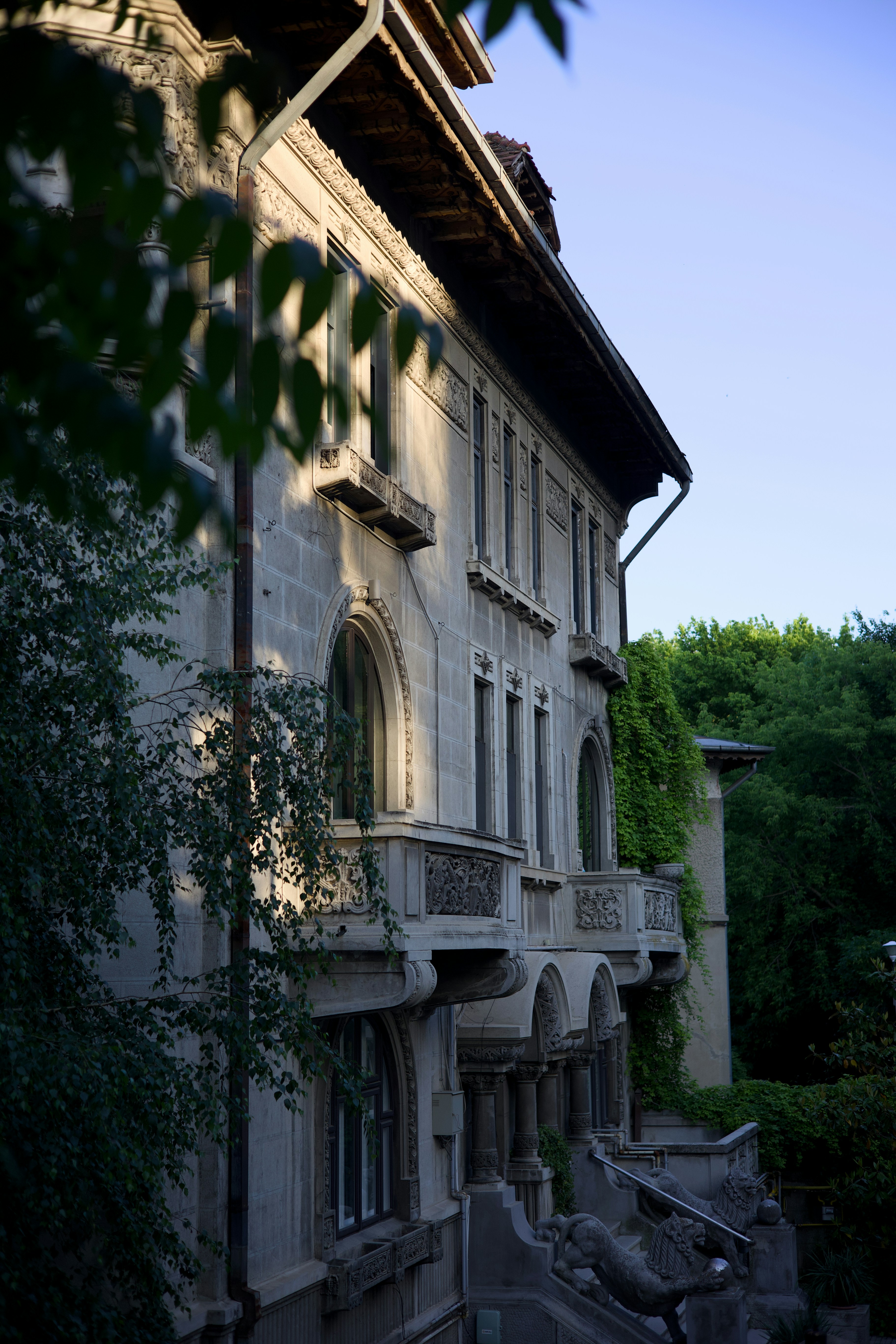 Ornate historic facade riding the shadow of vines