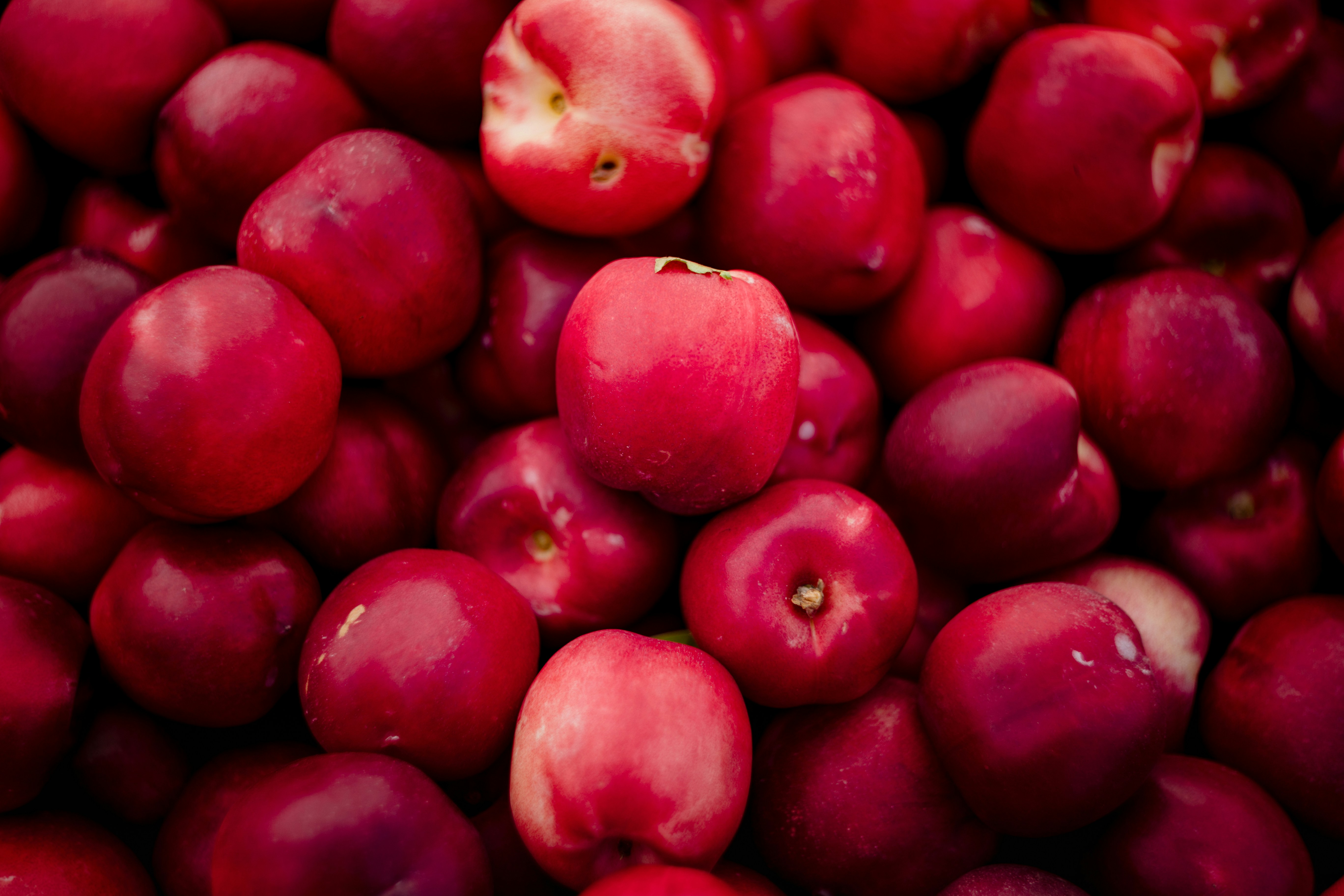 Crimson Orchard: Close-Quarter Berries
