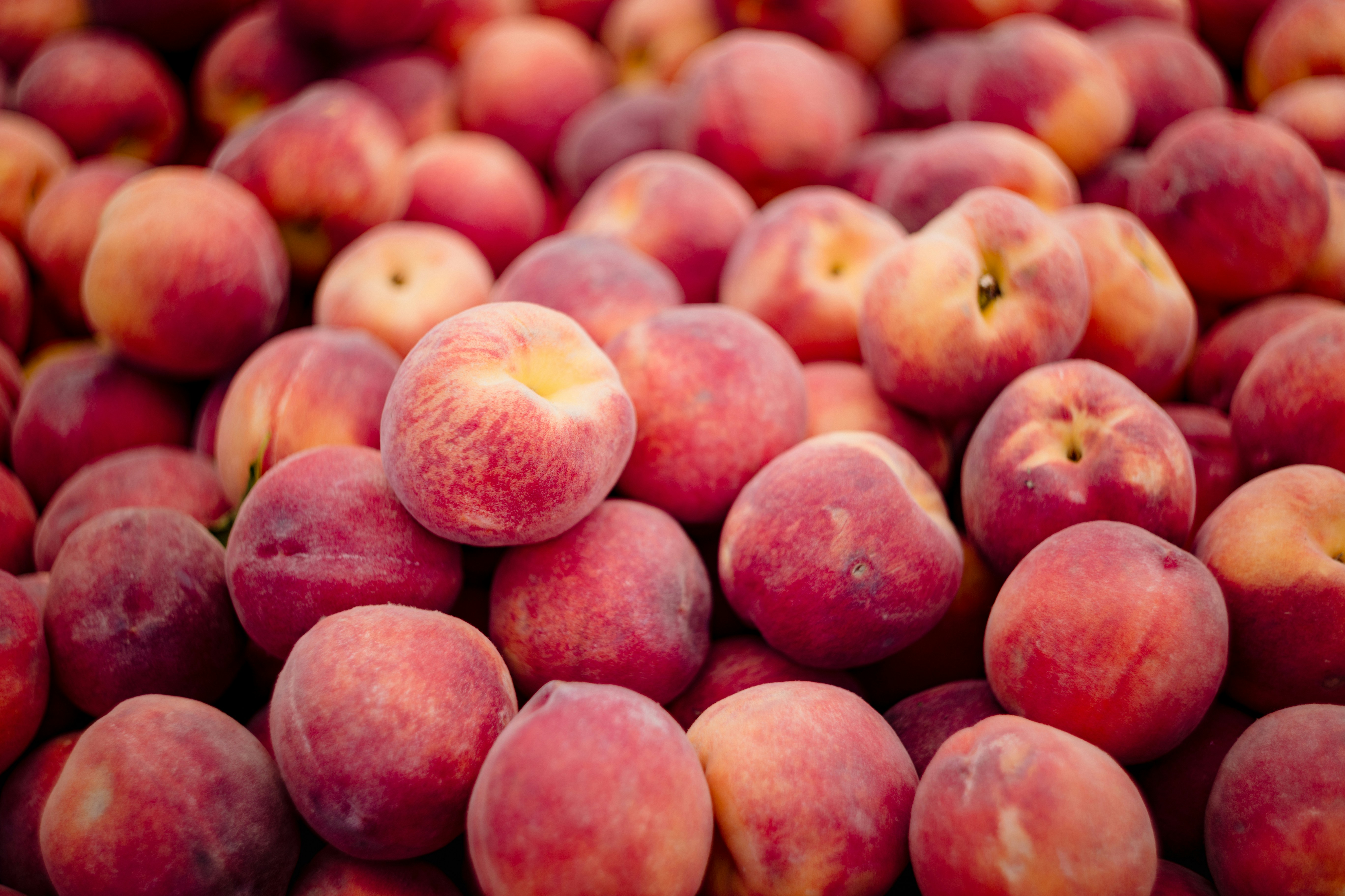 Peachy Abundance: A Sunlit Bounty of Fuzz and Flame