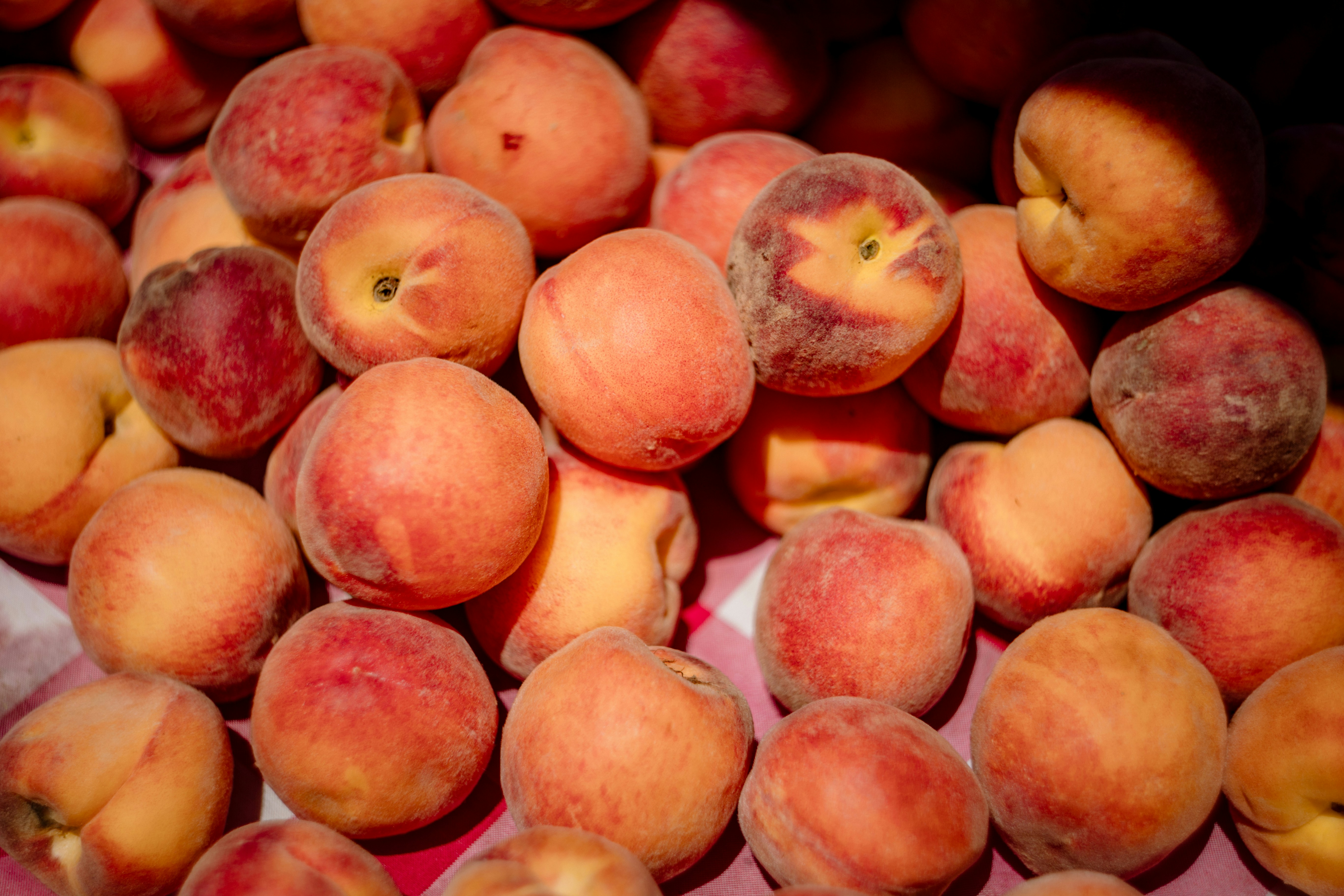 Sun-warmed Peach Bounty
