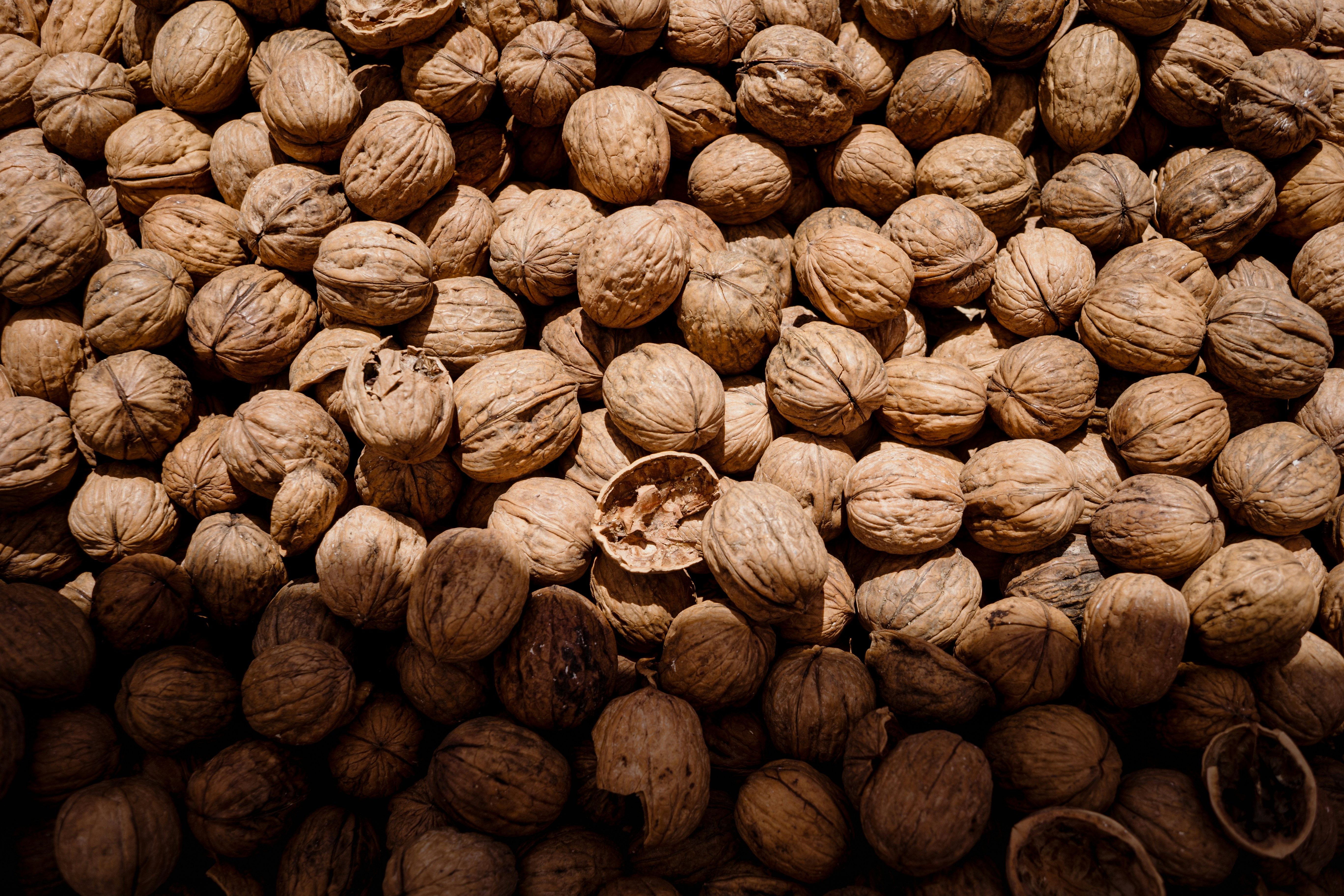 Rich Field of Shelled and Unshelled Walnuts