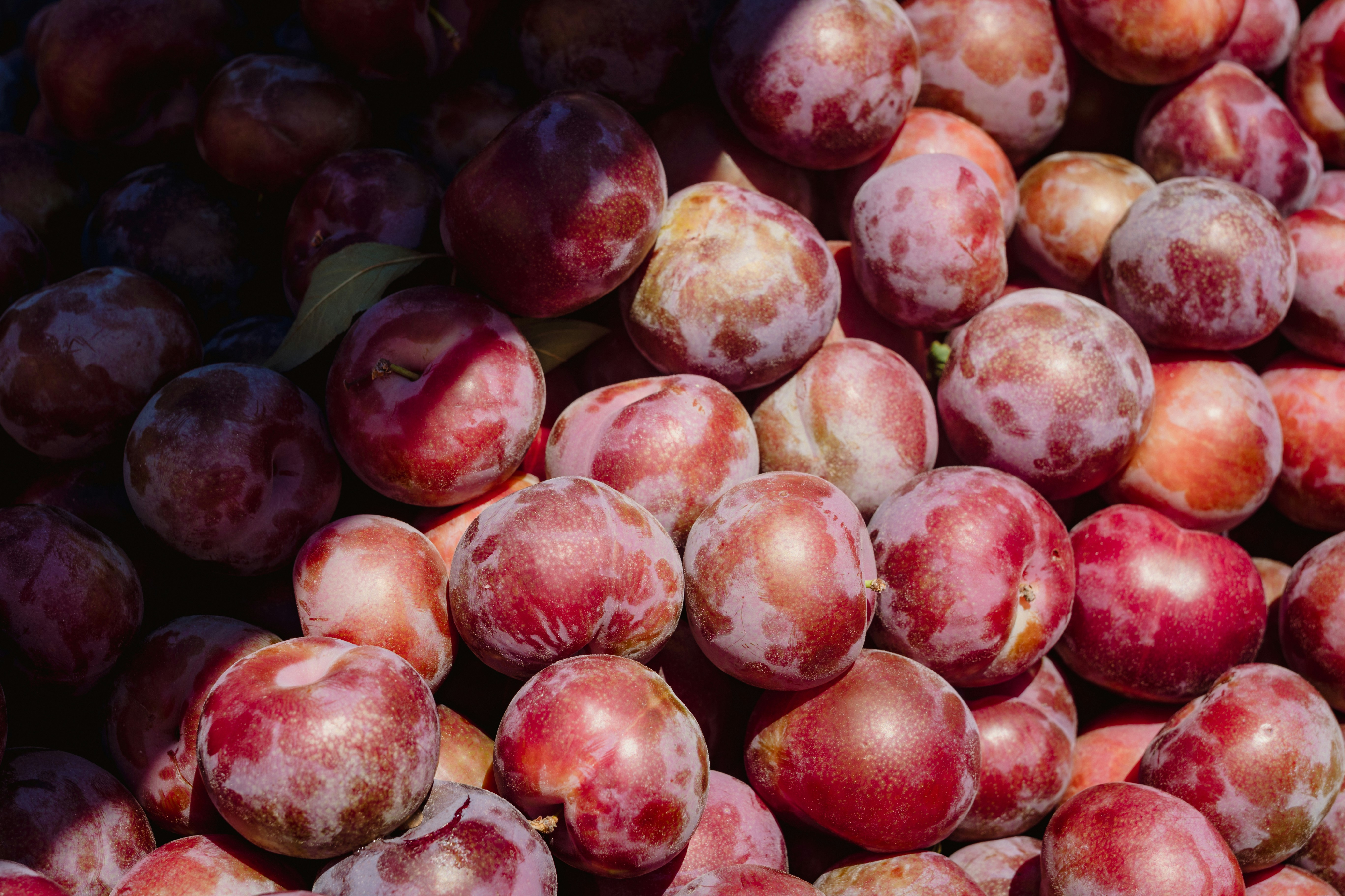 Sun-Kissed Orchard Orbs