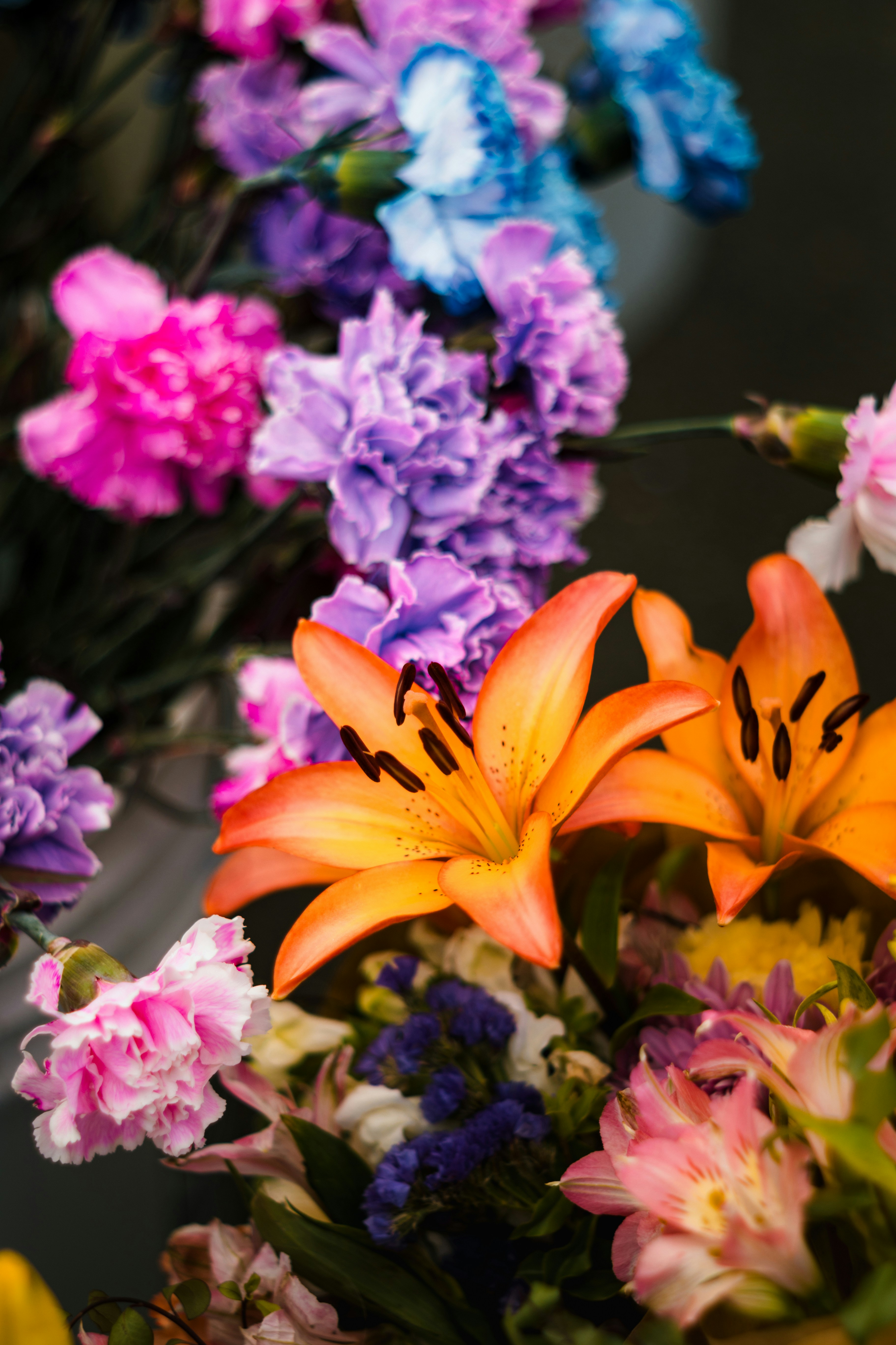Orange Lily Among Rainbow Blooms