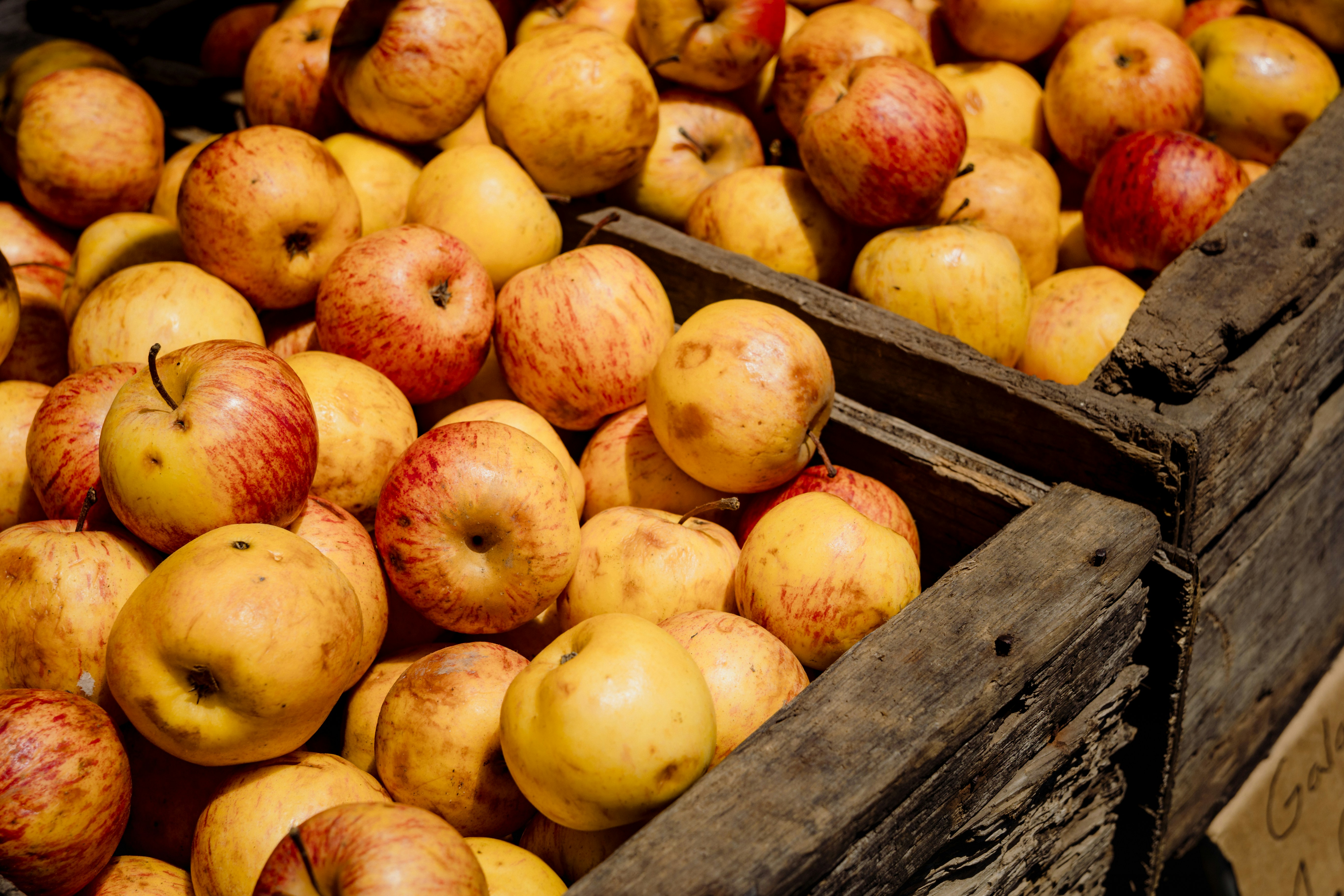 Crates of Autumn Apples: Warmth in a Wooden Harvest