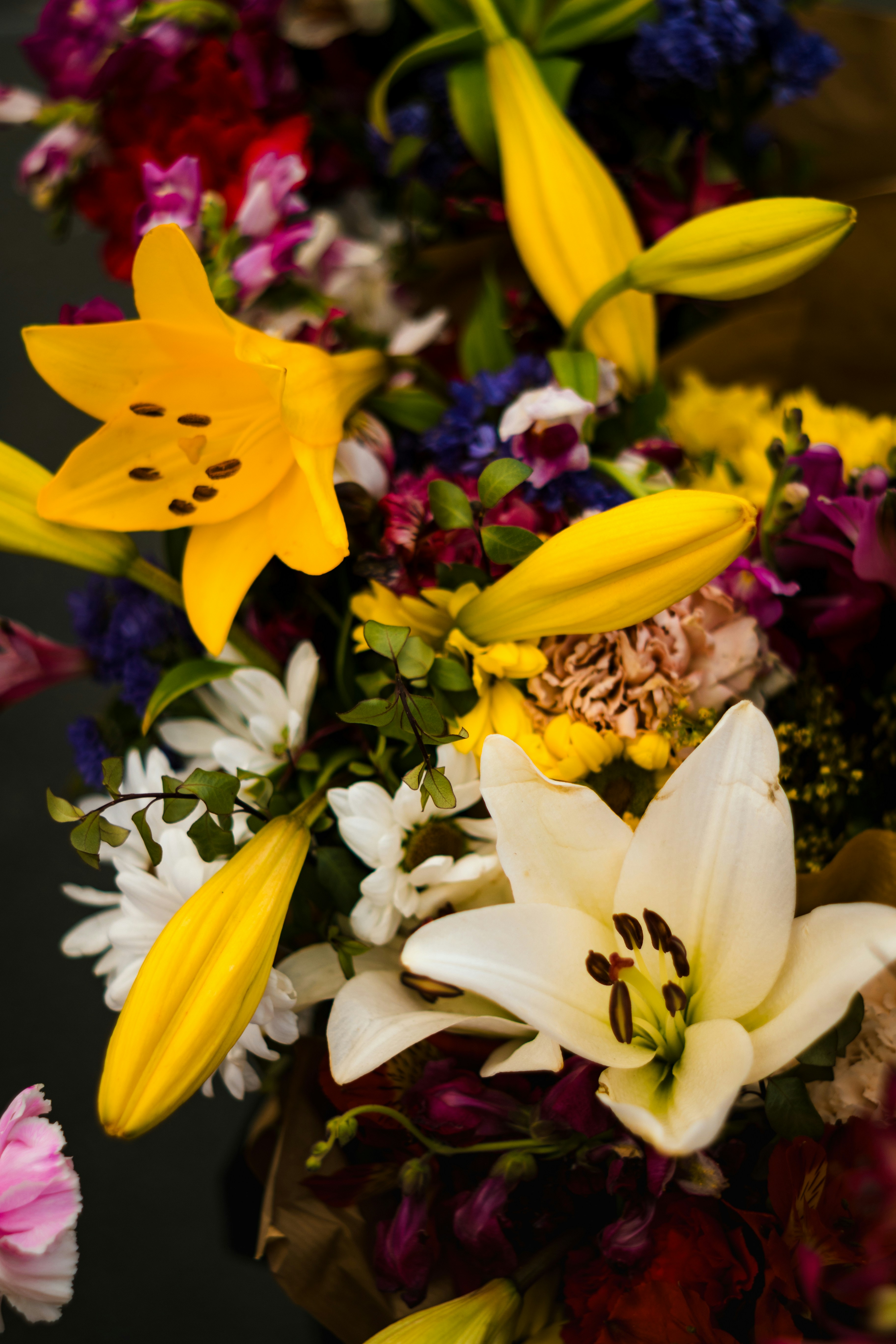 Golden Lily Amid a Burst of Colorful Bloom