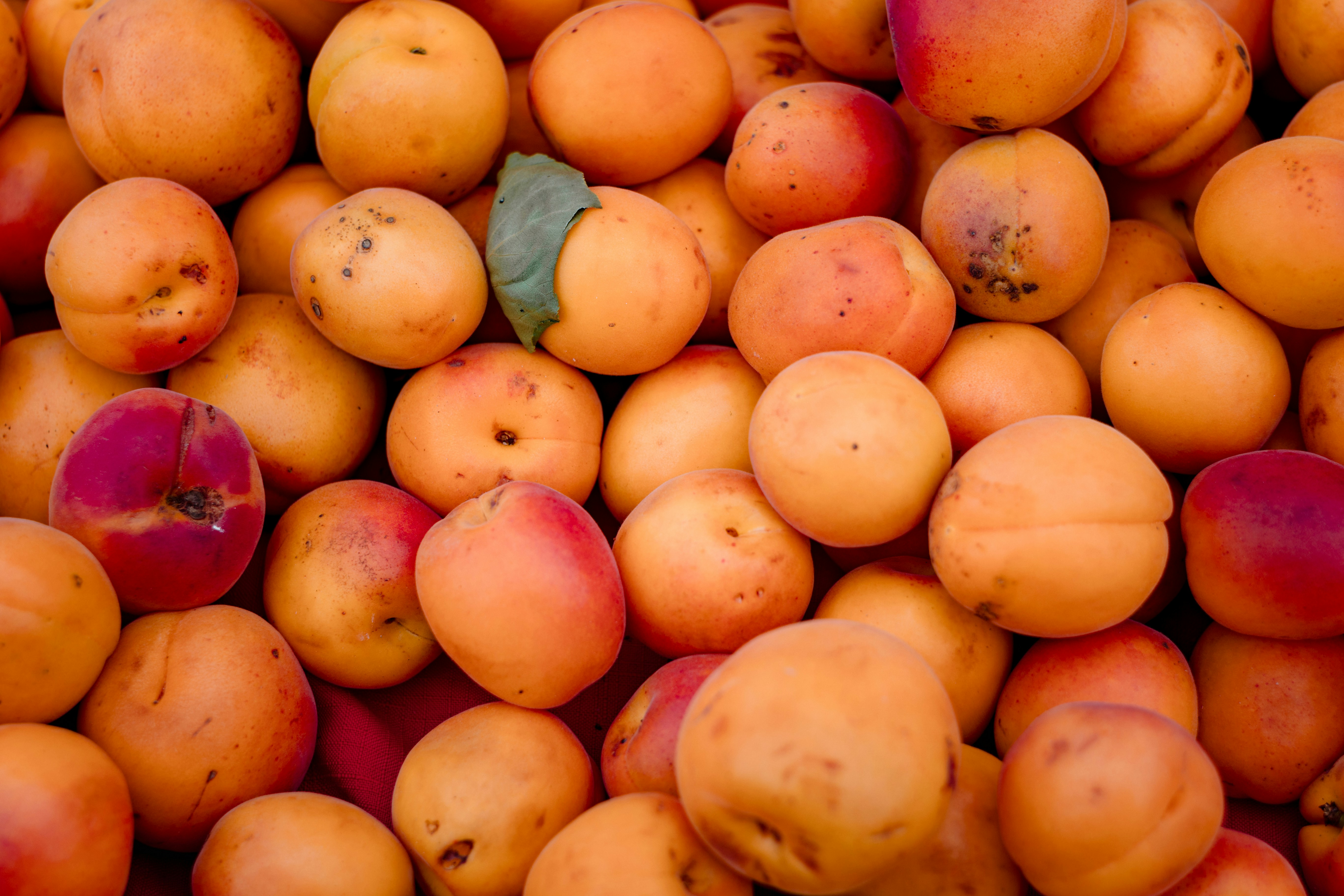 Sunlit Peach Heap: a Saturated Orchard Pour