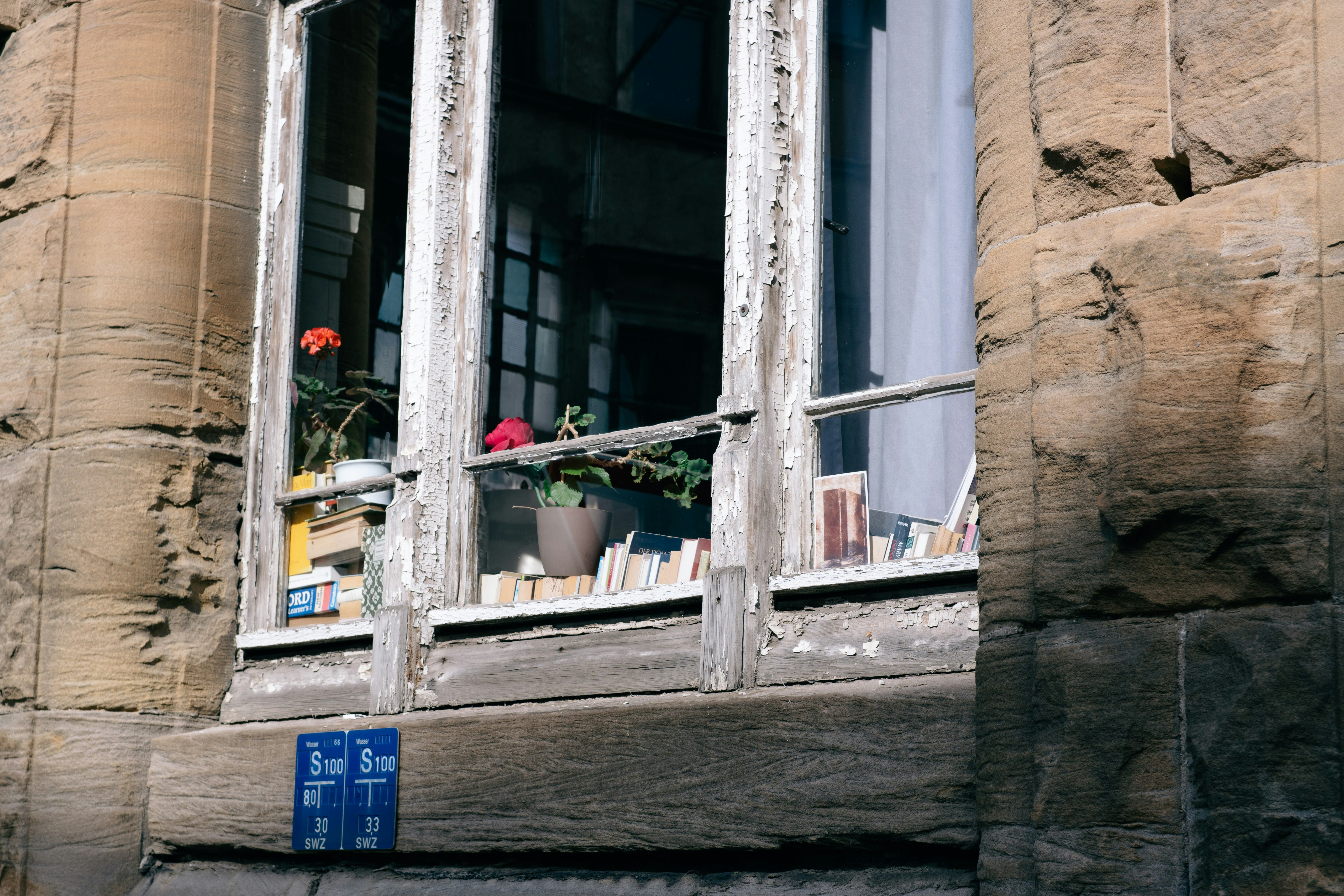 Weathered Window Garden: Books and Blooms in a City Facade