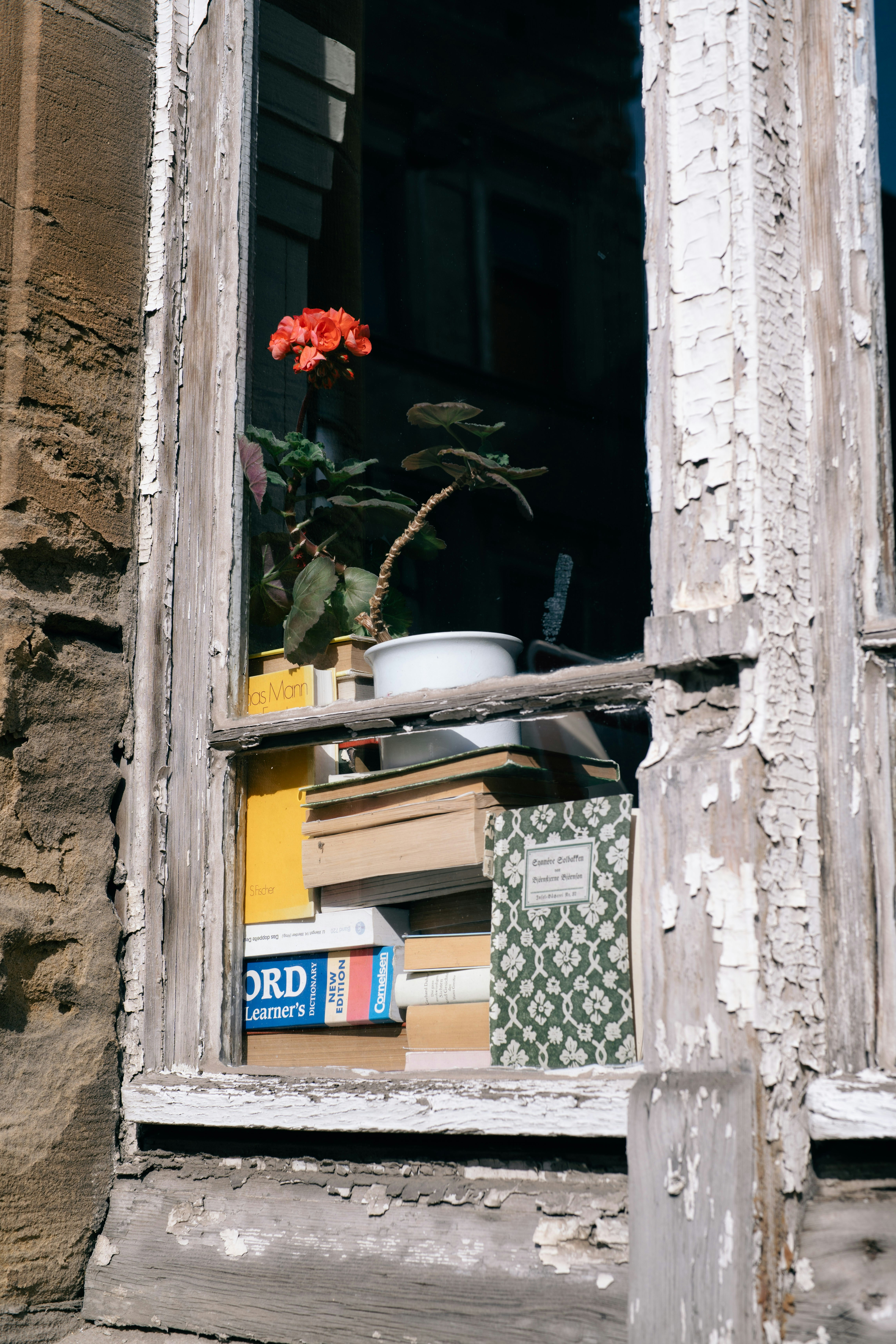Window of Knowledge: A Weathered Sill Packed with Books and a Red Geranium