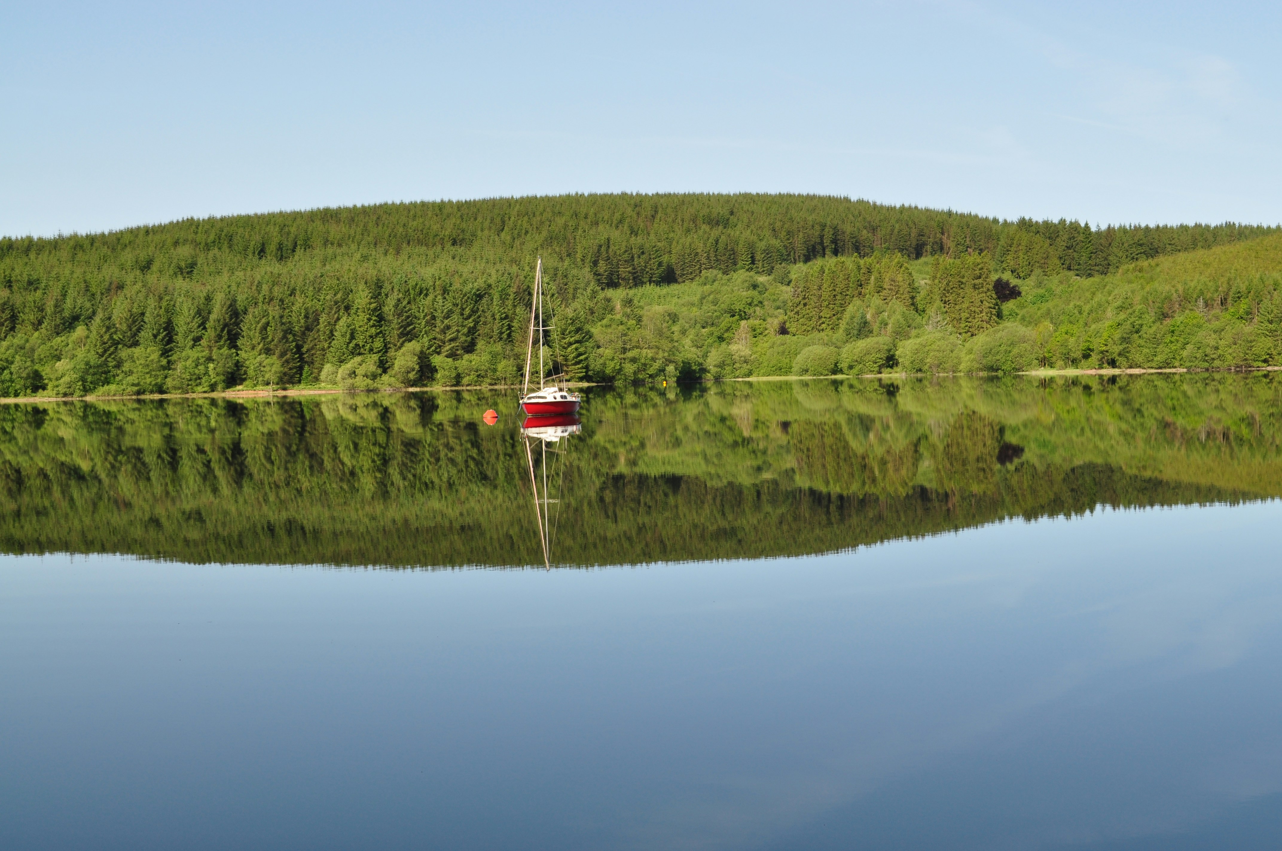 Lone Red-White Sailboat Resting Amid a Verdant Mirror