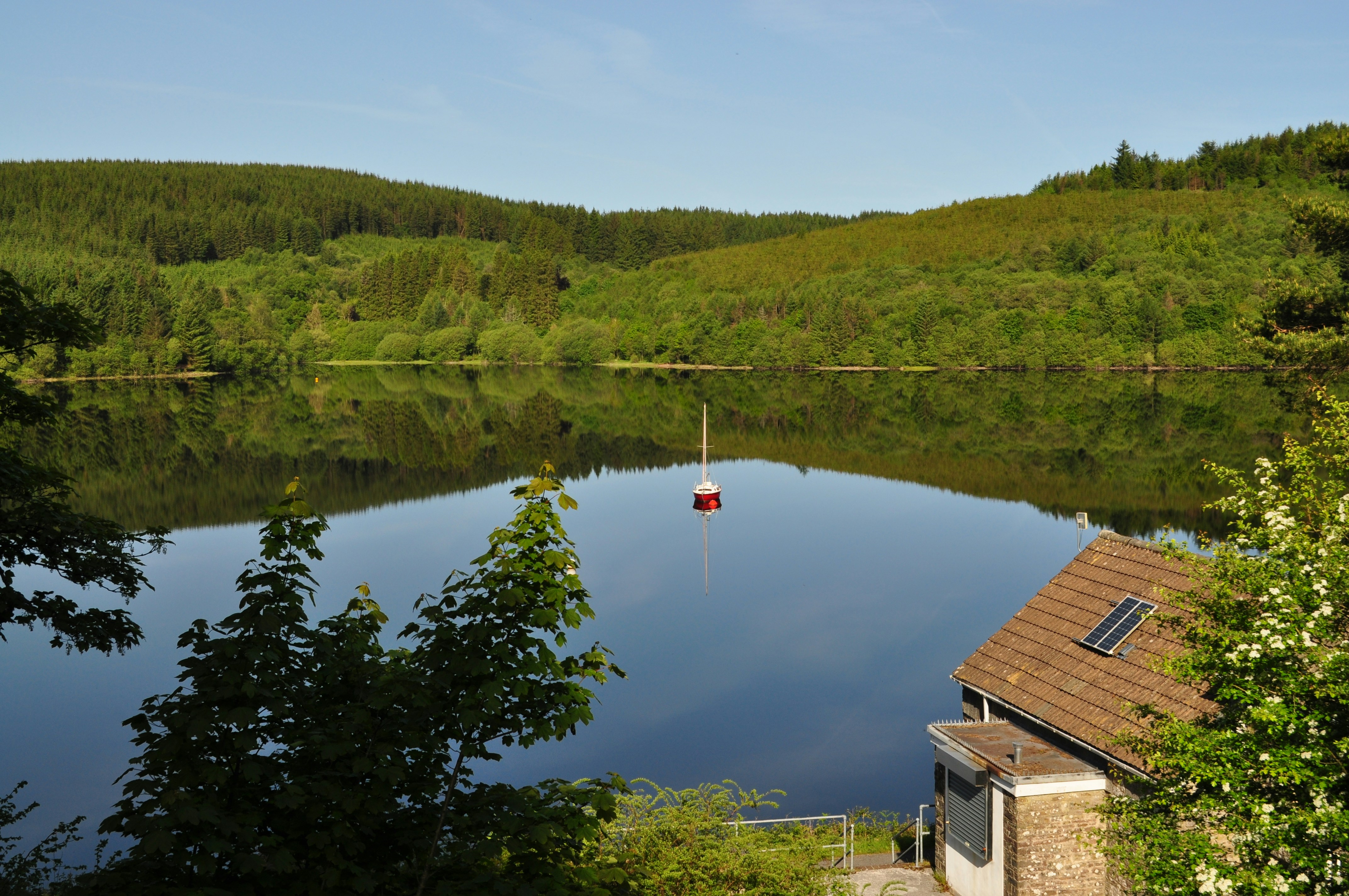 Still Water, Green Surroundings: A Quiet Lakeside Scene