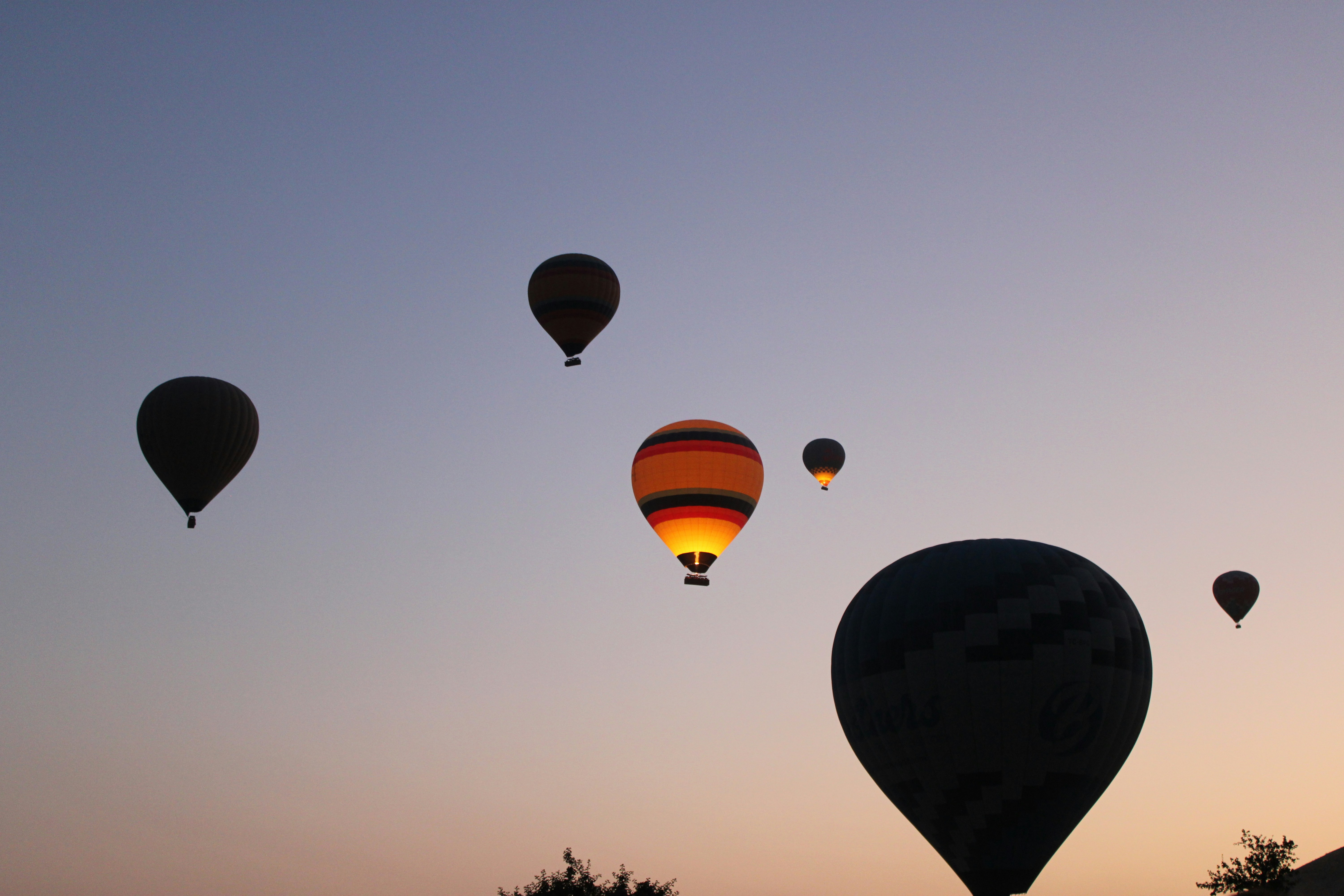 Skybound Choir: Balloons drifting at dusk