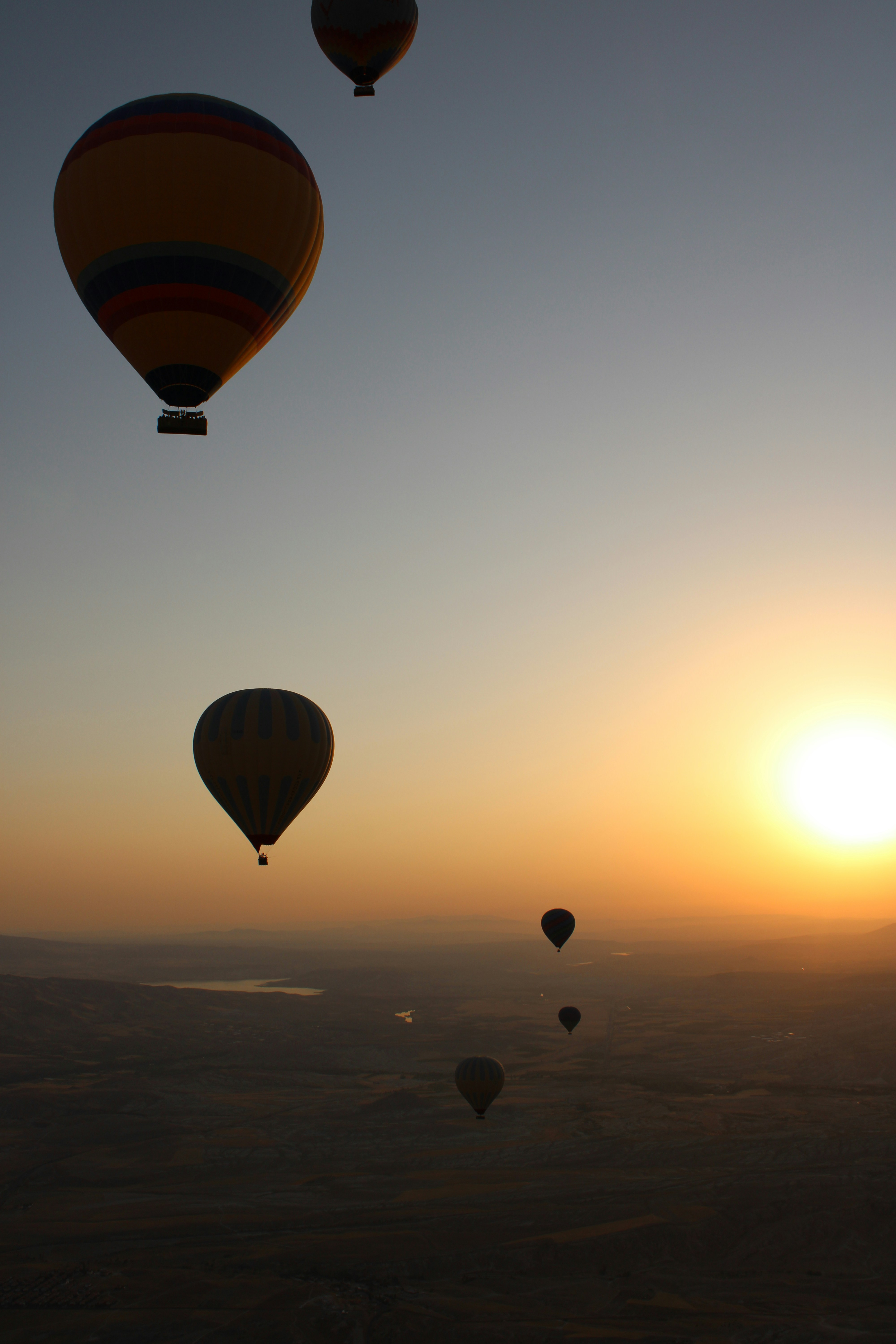 Ascending Orbs at Dawn: A Gentle Flight Over the Horizon