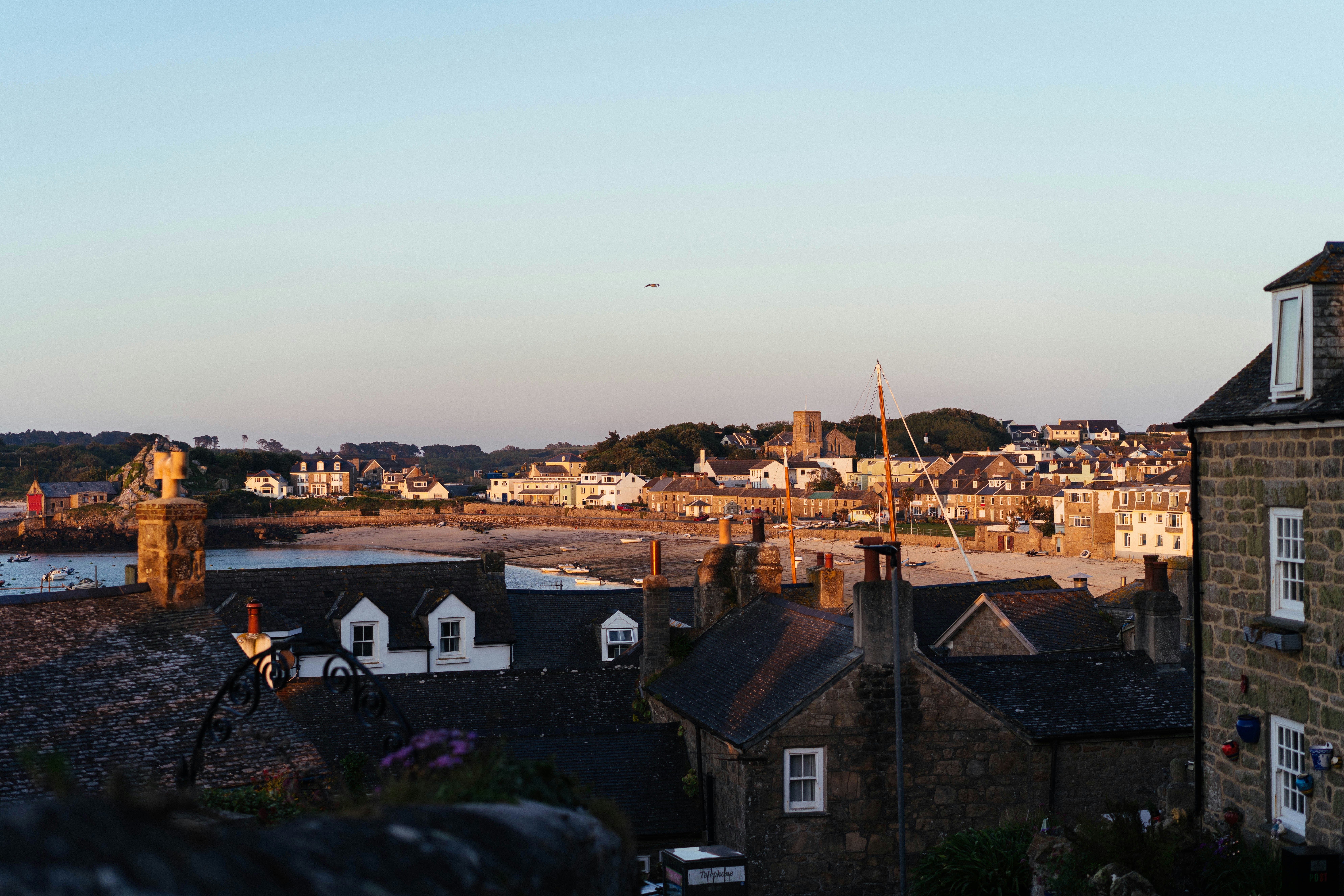 Harborside Rooftops at Golden Hour