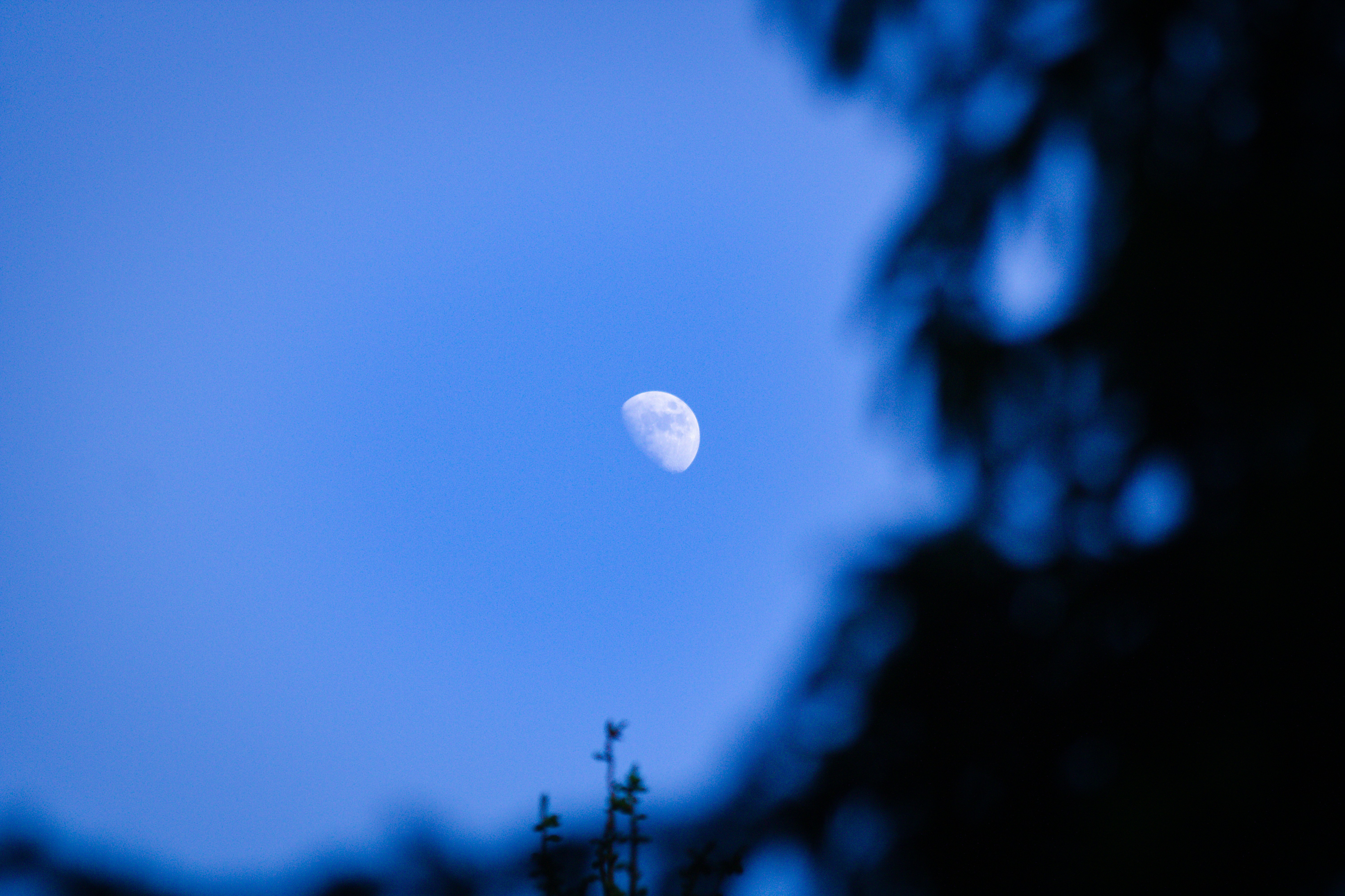 Moon Amid Blue Quiet: A Sketched Nightscape