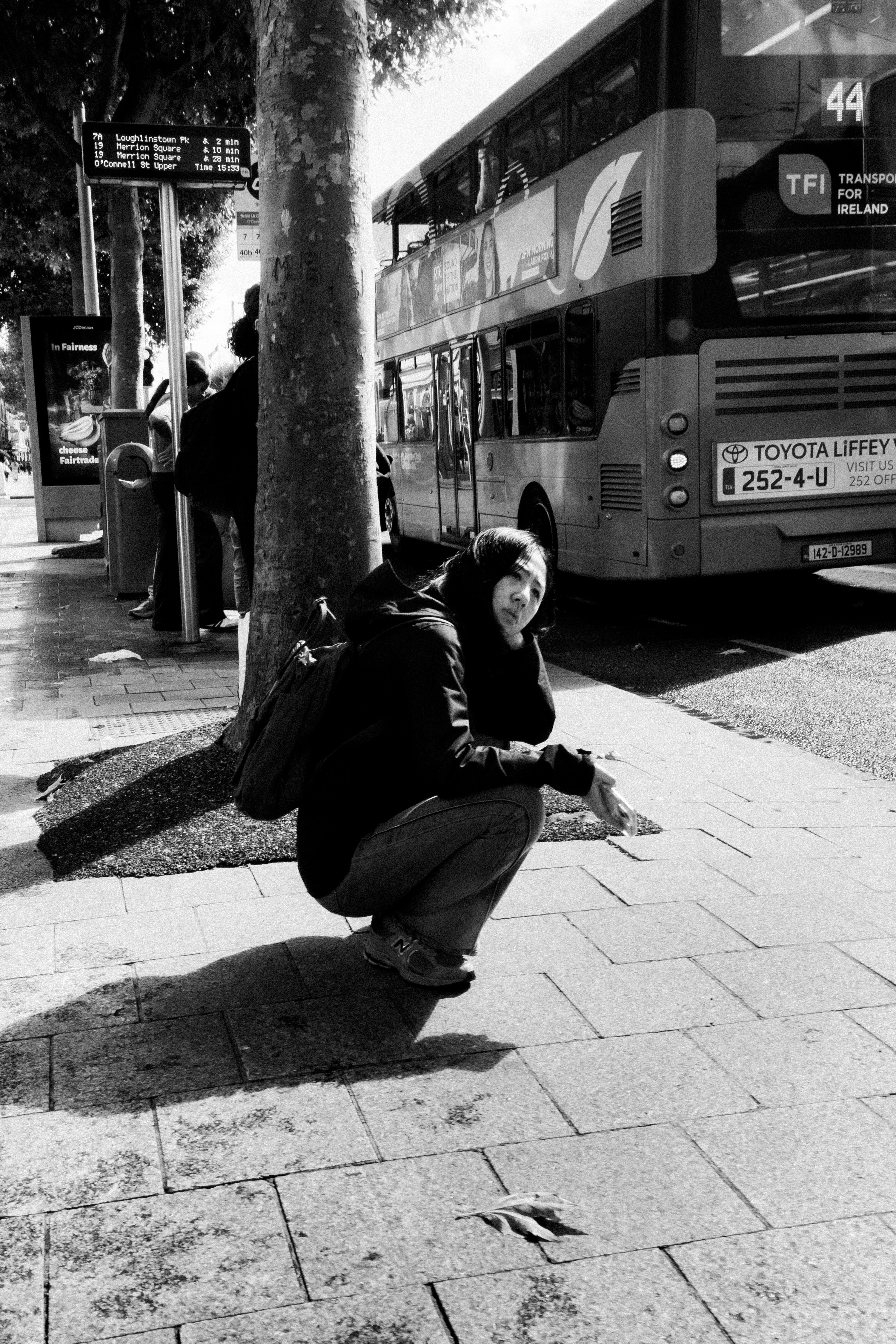 Crouched in the Bus Stop Light, A Moment of Quiet Amid the City Transit