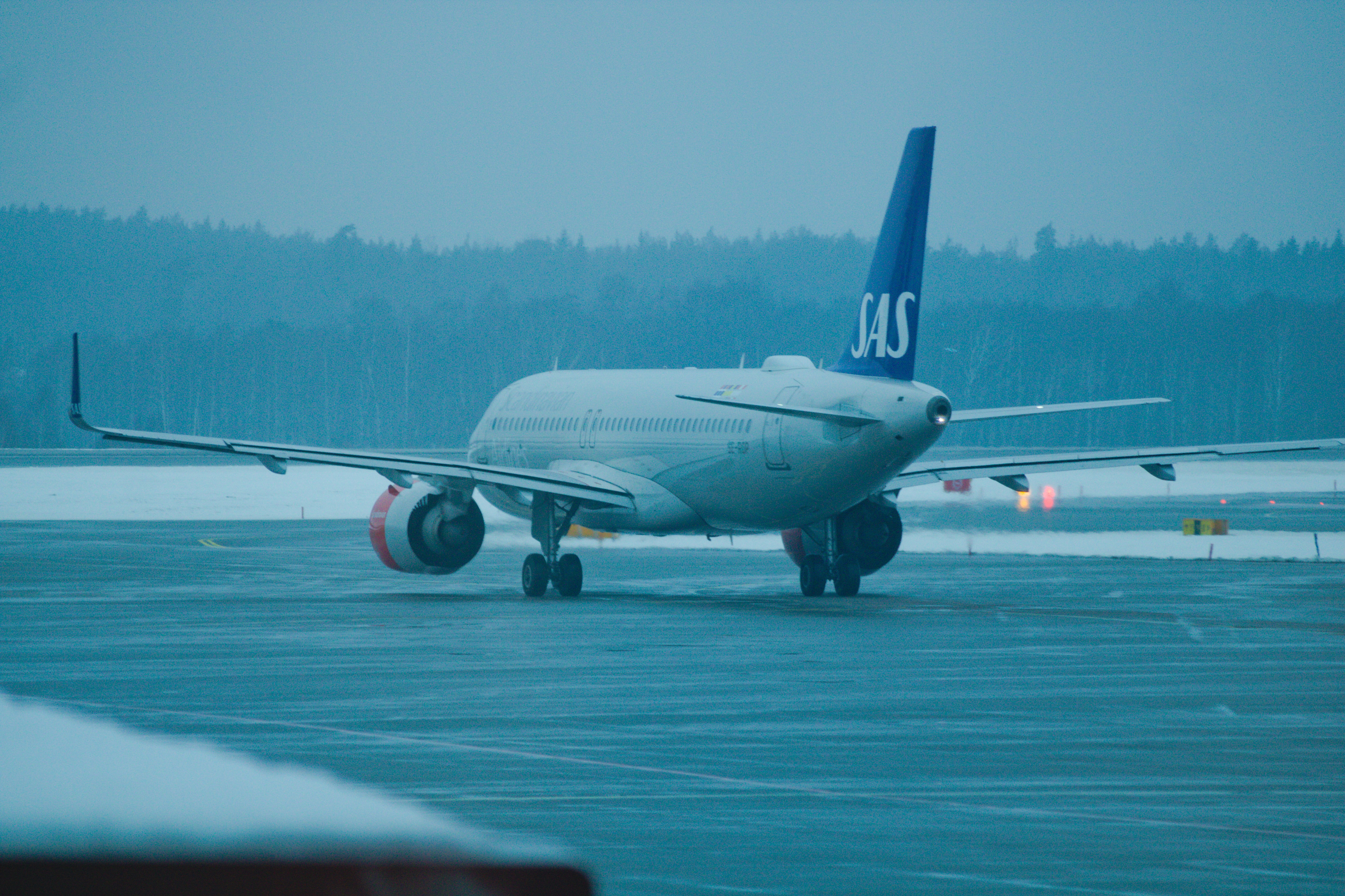 SAS Jet on Winter Tarmac: A Quiet Taxi in Pale Blue Light
