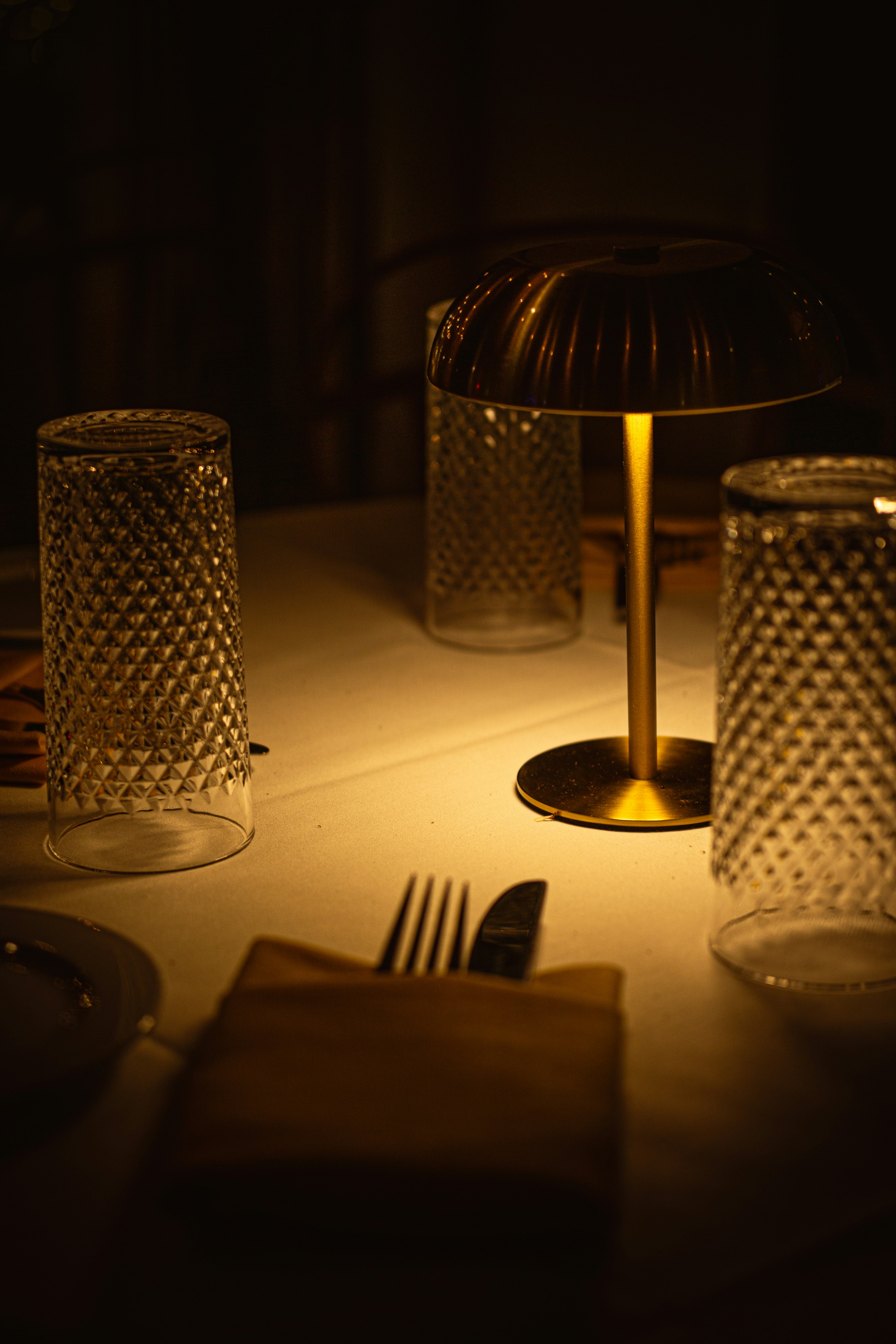 Dim Table Lamp Illuminates a Whispering Dinner Scene