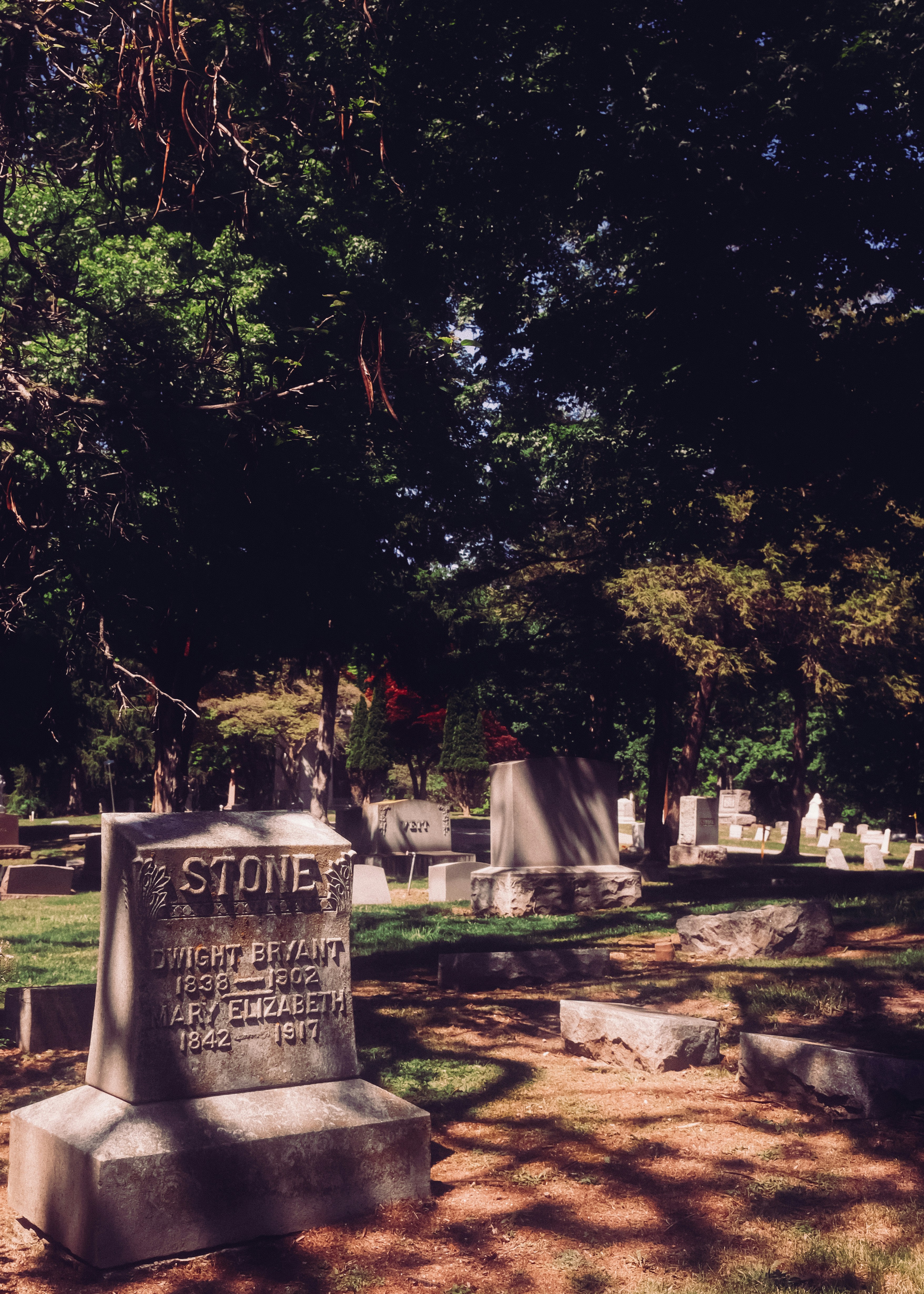 Stone Sentinel: A Quiet Graveyard Amid Dappled Shade