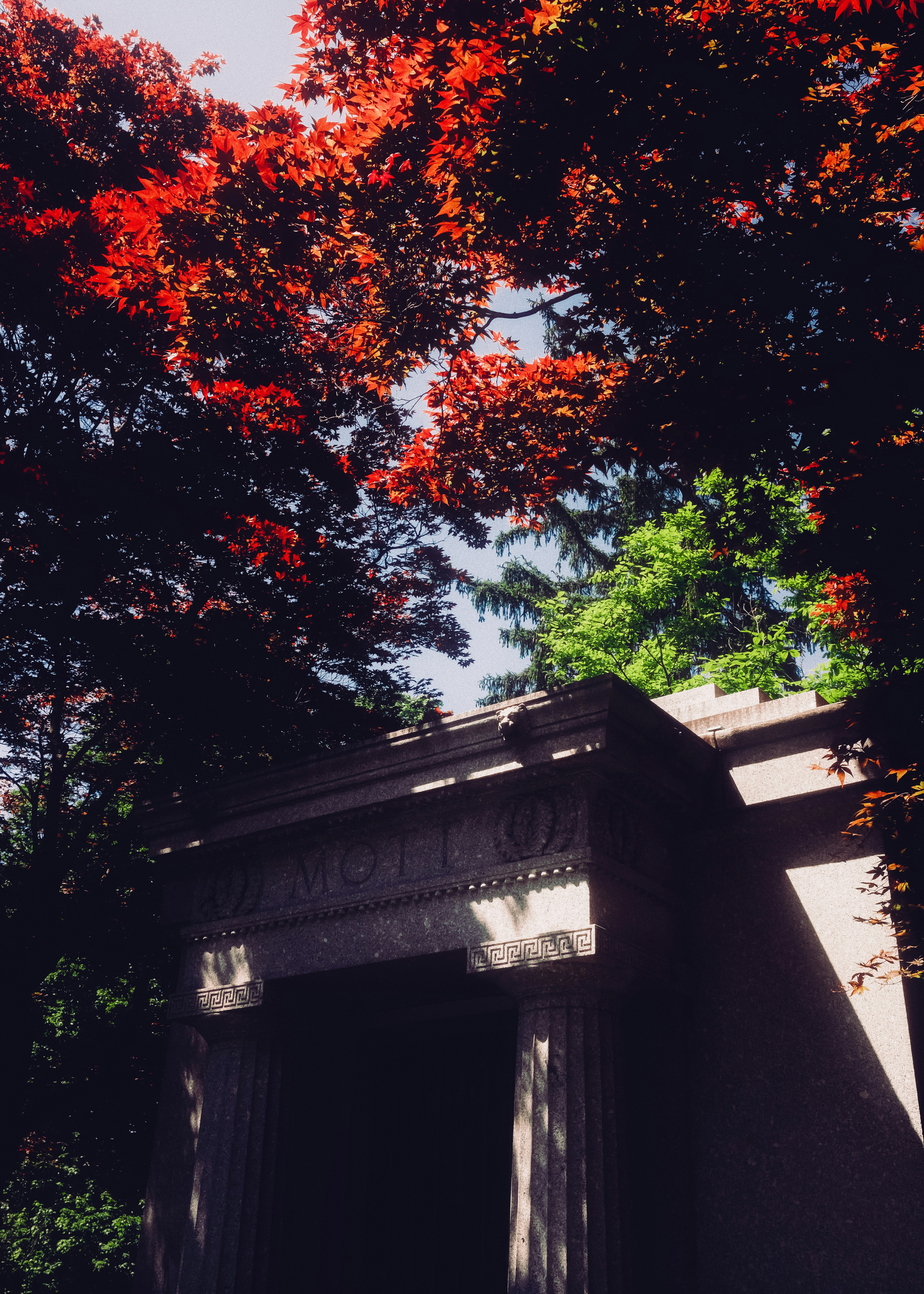 Autumn Gate: Light Filtering Through Carved Stone