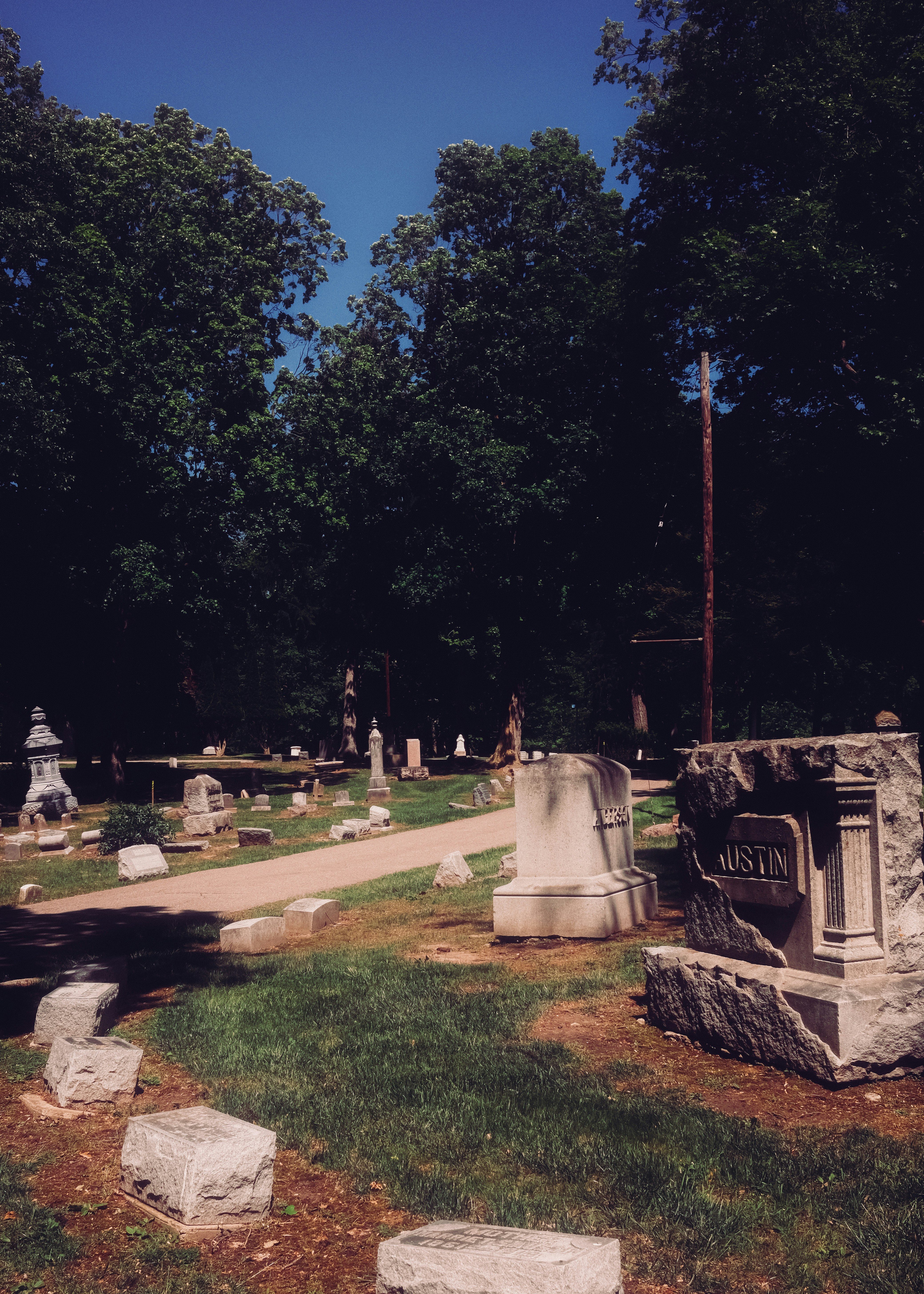 Stone Witnesses: A quiet cemetery under dense canopy