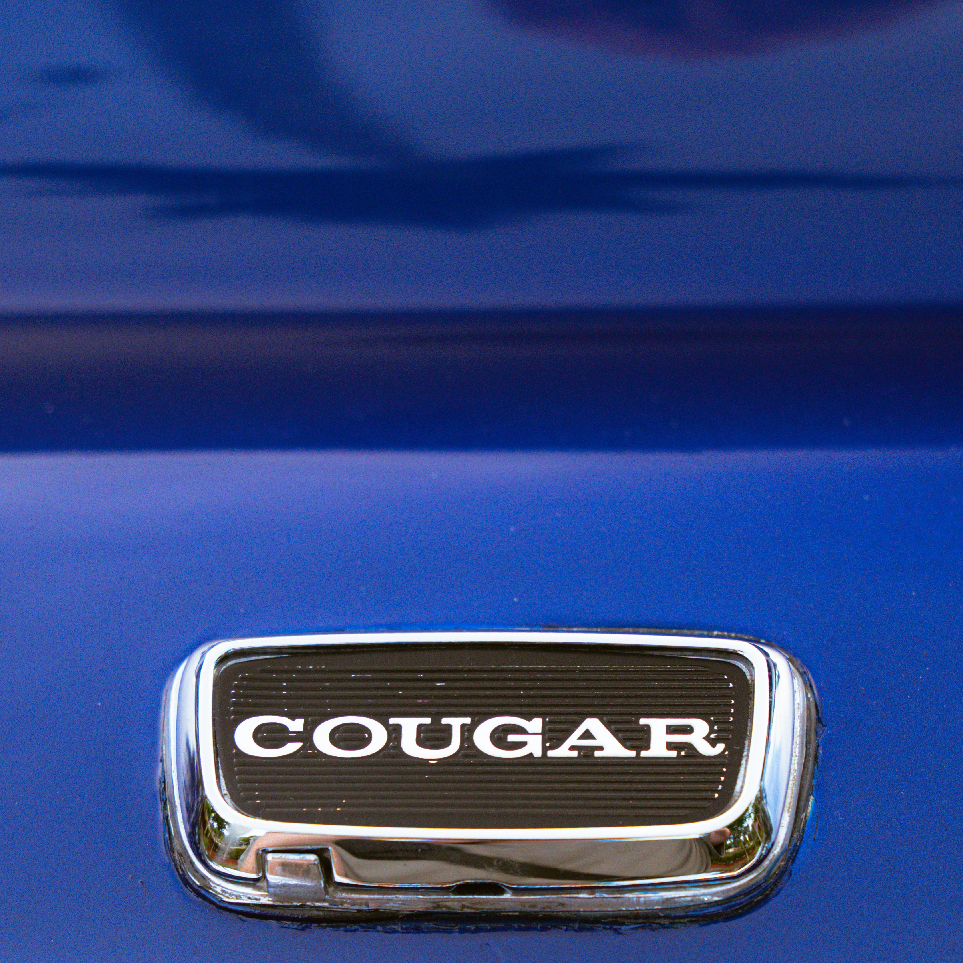 Chrome Emblem on Blue coupé: COUGAR badge in focus