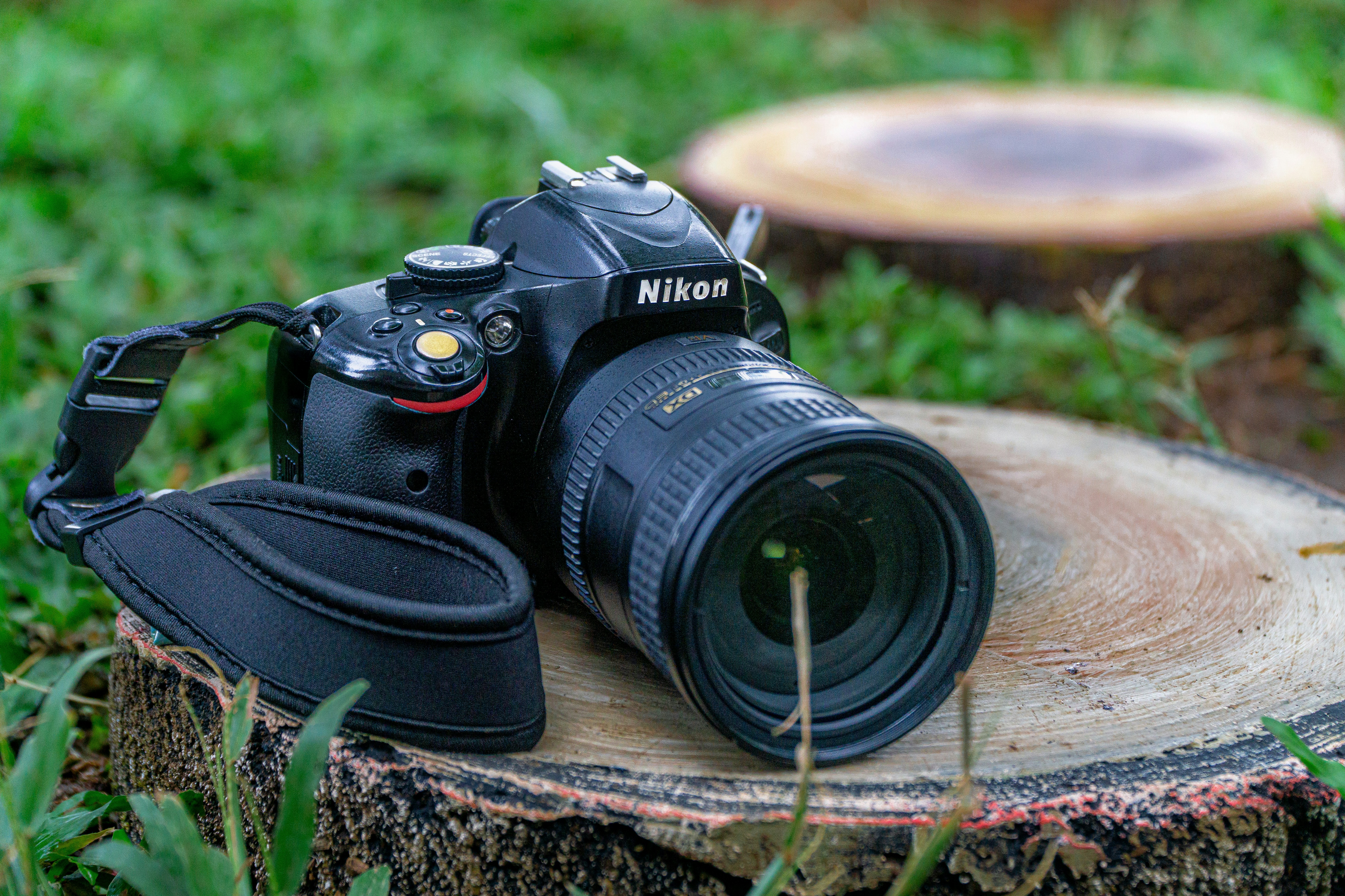 Mid-Shown Craft: A Nikon DSLR Resting on a Circular Timber Slice