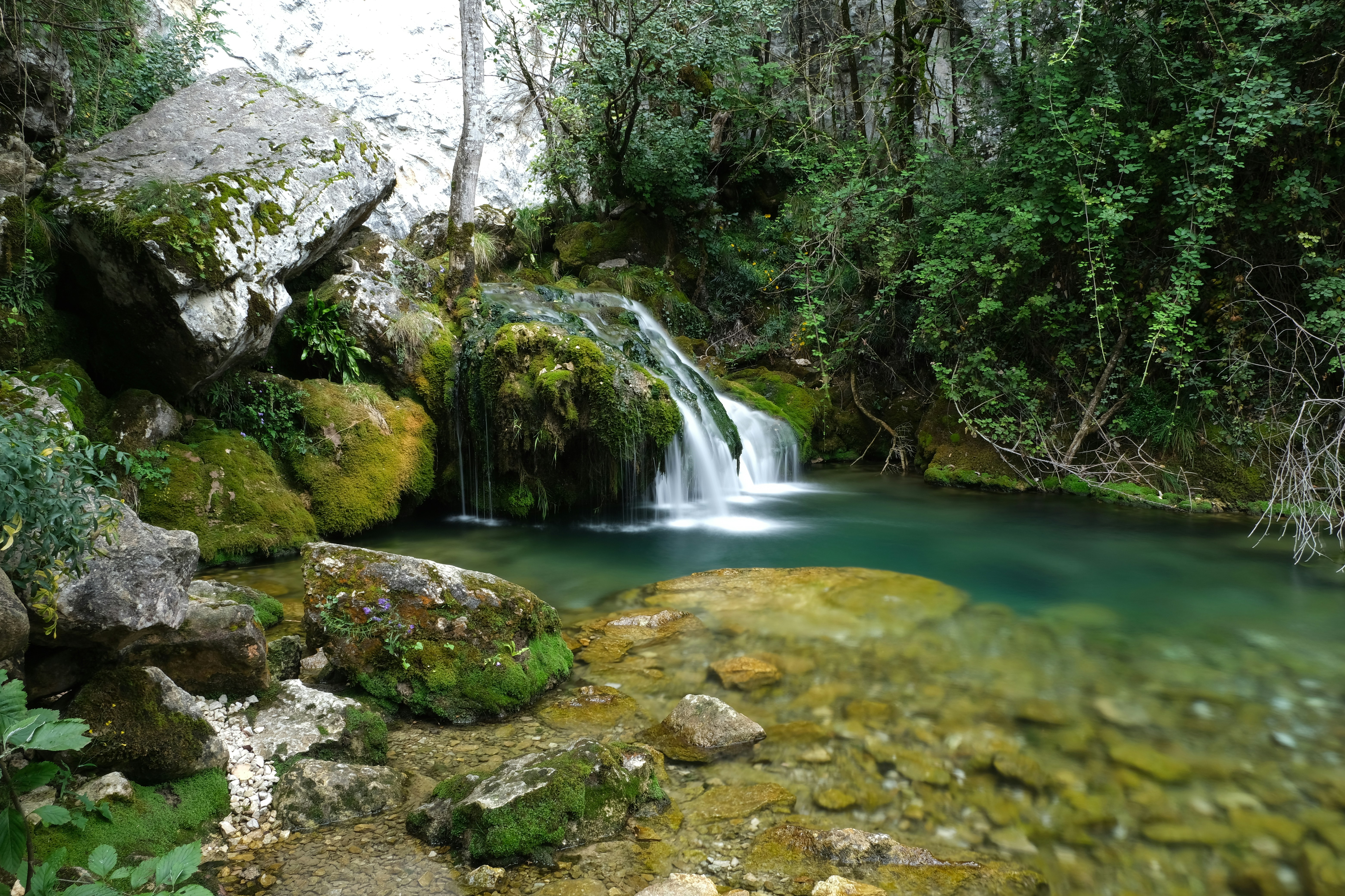 Whispering Cascade in a Verdant Gorge