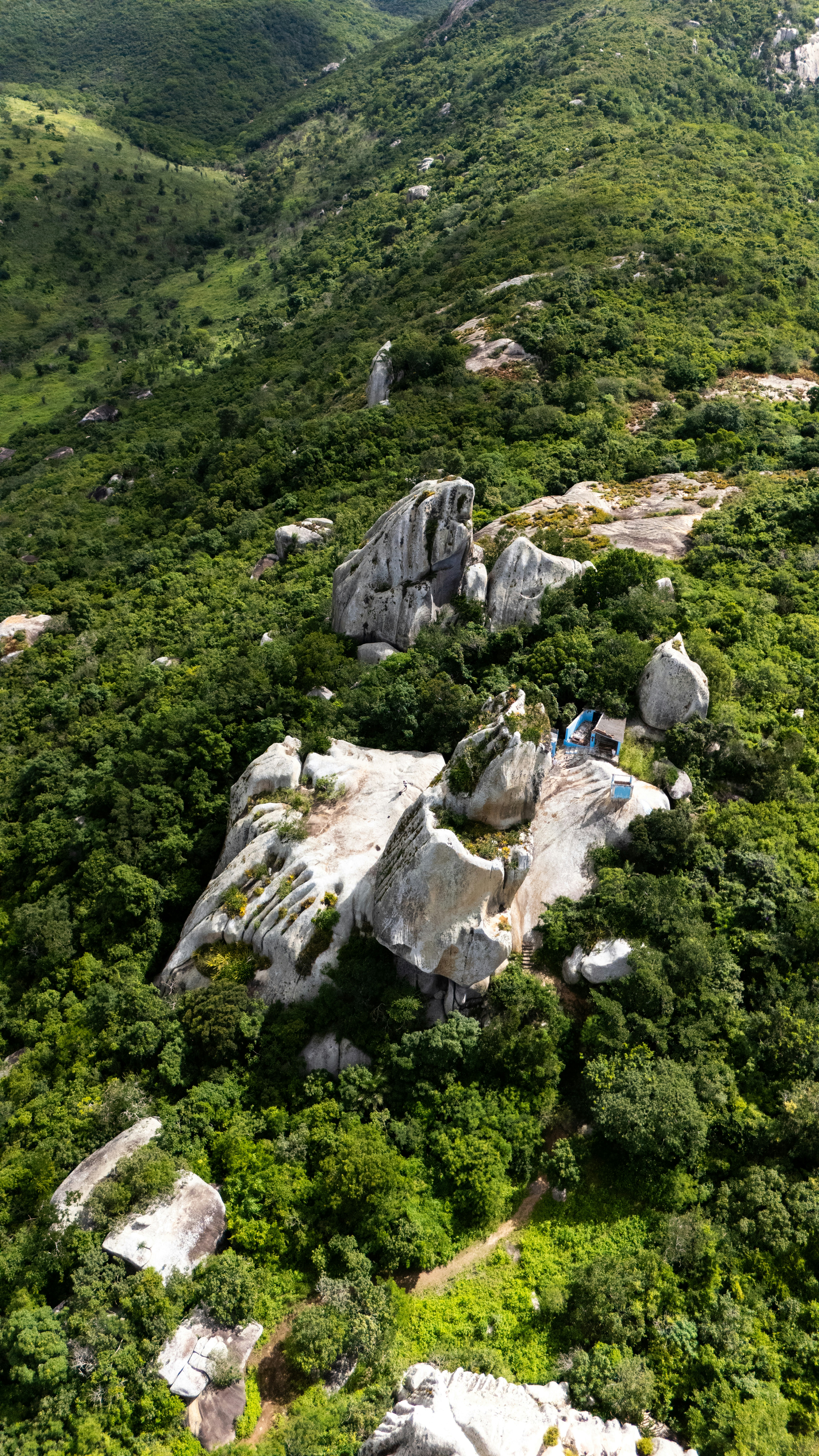 Granite Giants: Aerial Echoes of Stone Veiled in Green