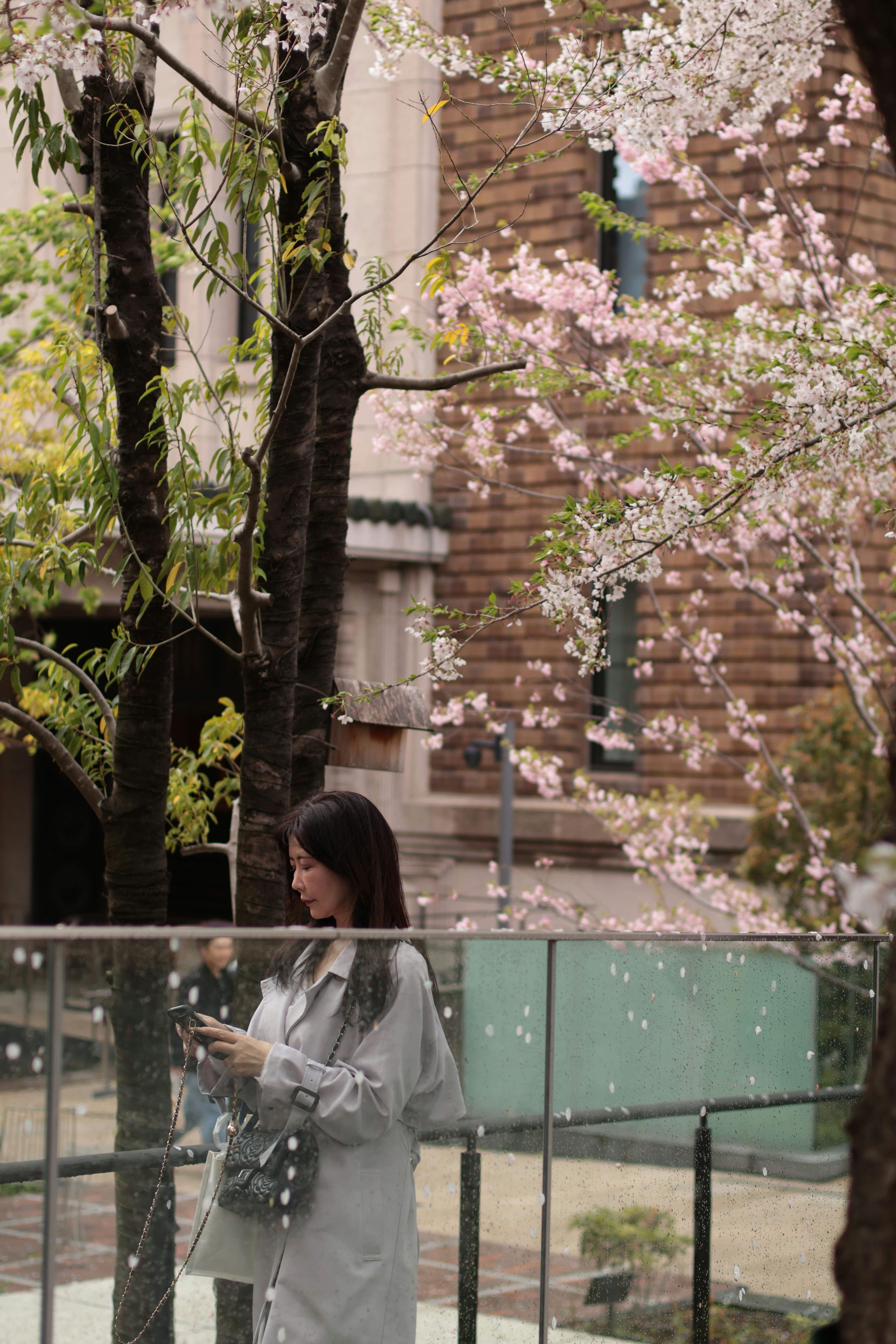 Woman with Phone Beneath Blossoming Trees in an Urban Courtyard