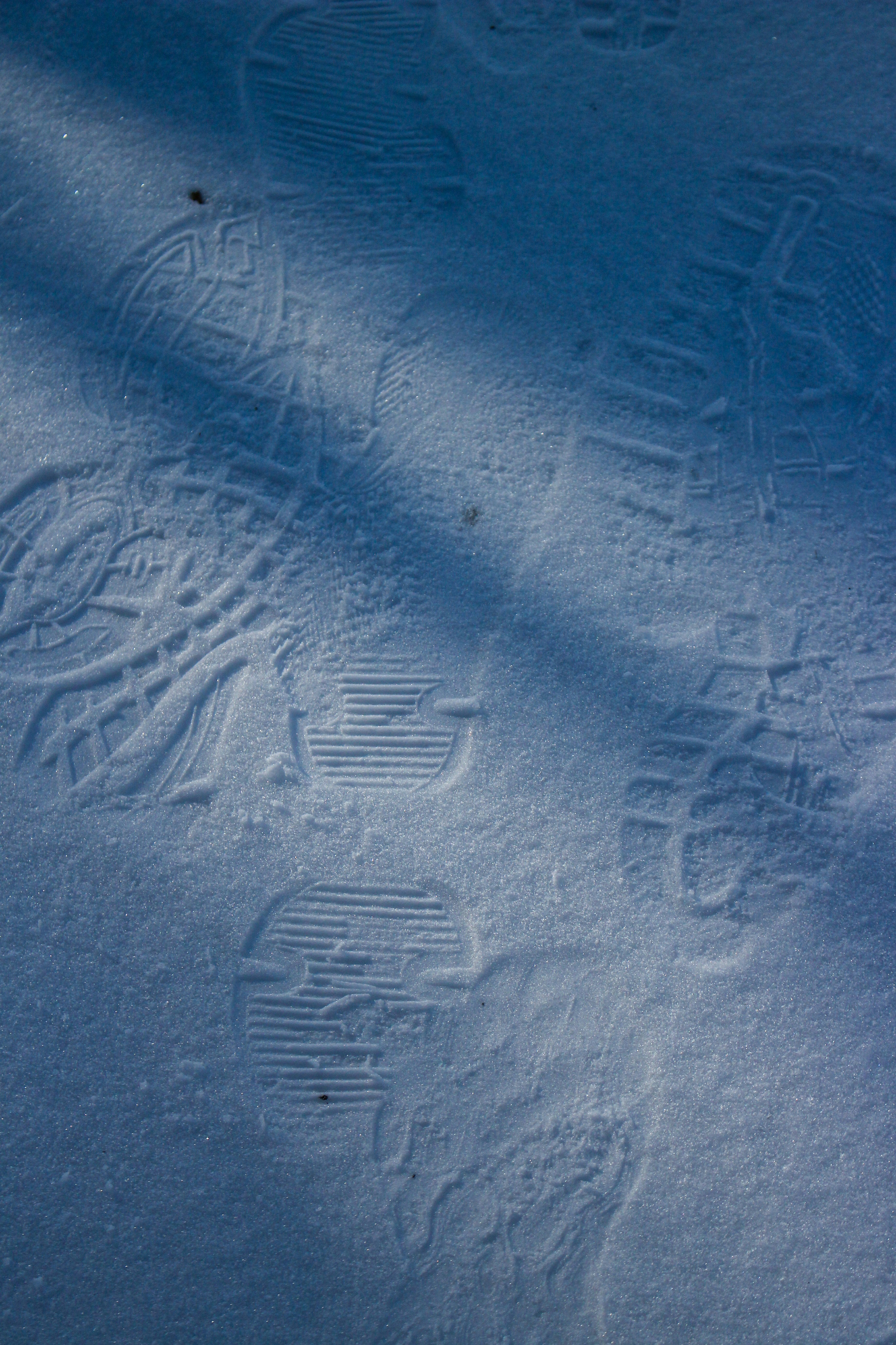 Footprints in Frost: Traces Across Fresh Powder