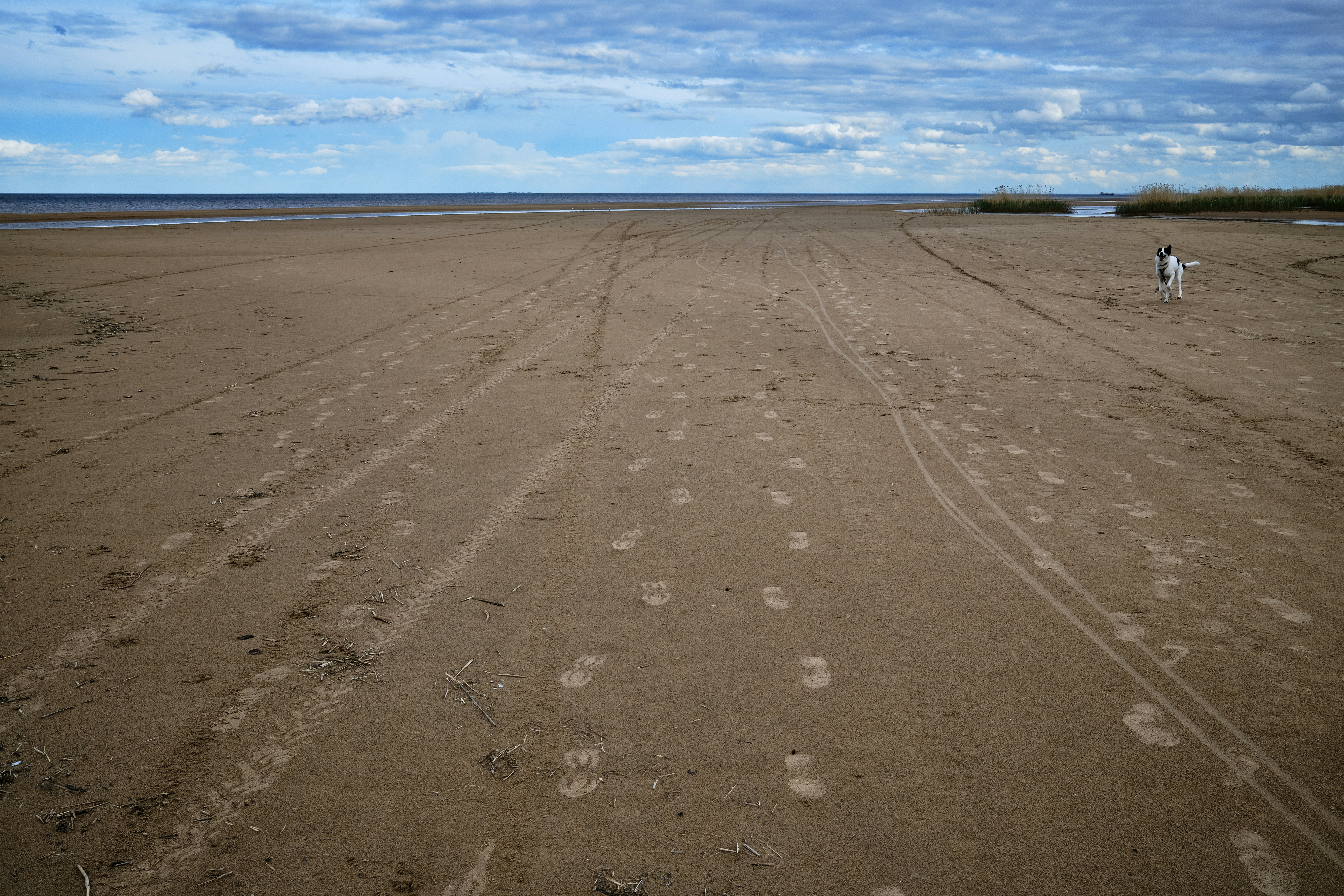 Footsteps to the Horizon: A Seaside Path Under Wide Sky