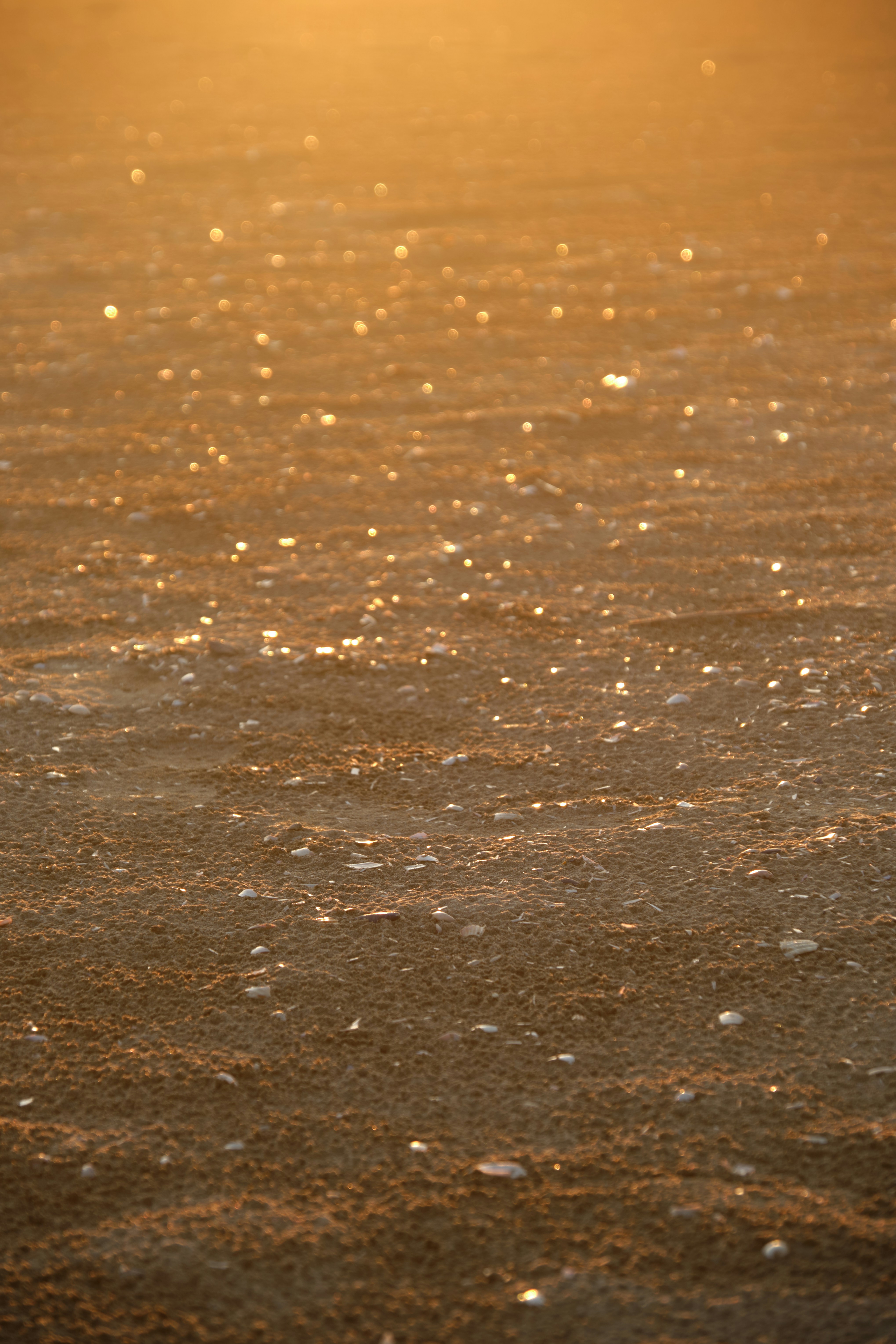 Glittering Sands at Dusk