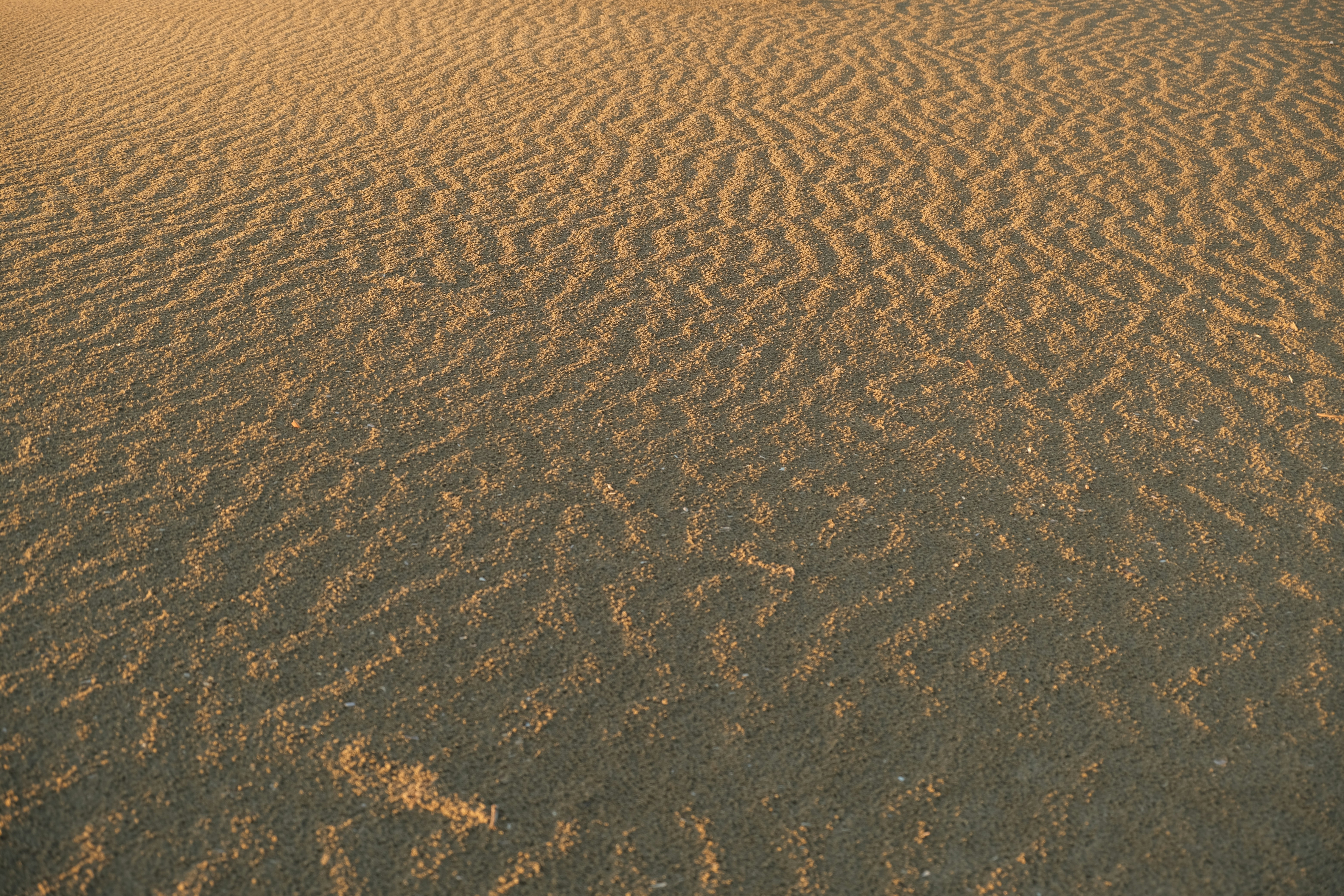 Ripples in Dusk: Desert Sand Sculptures