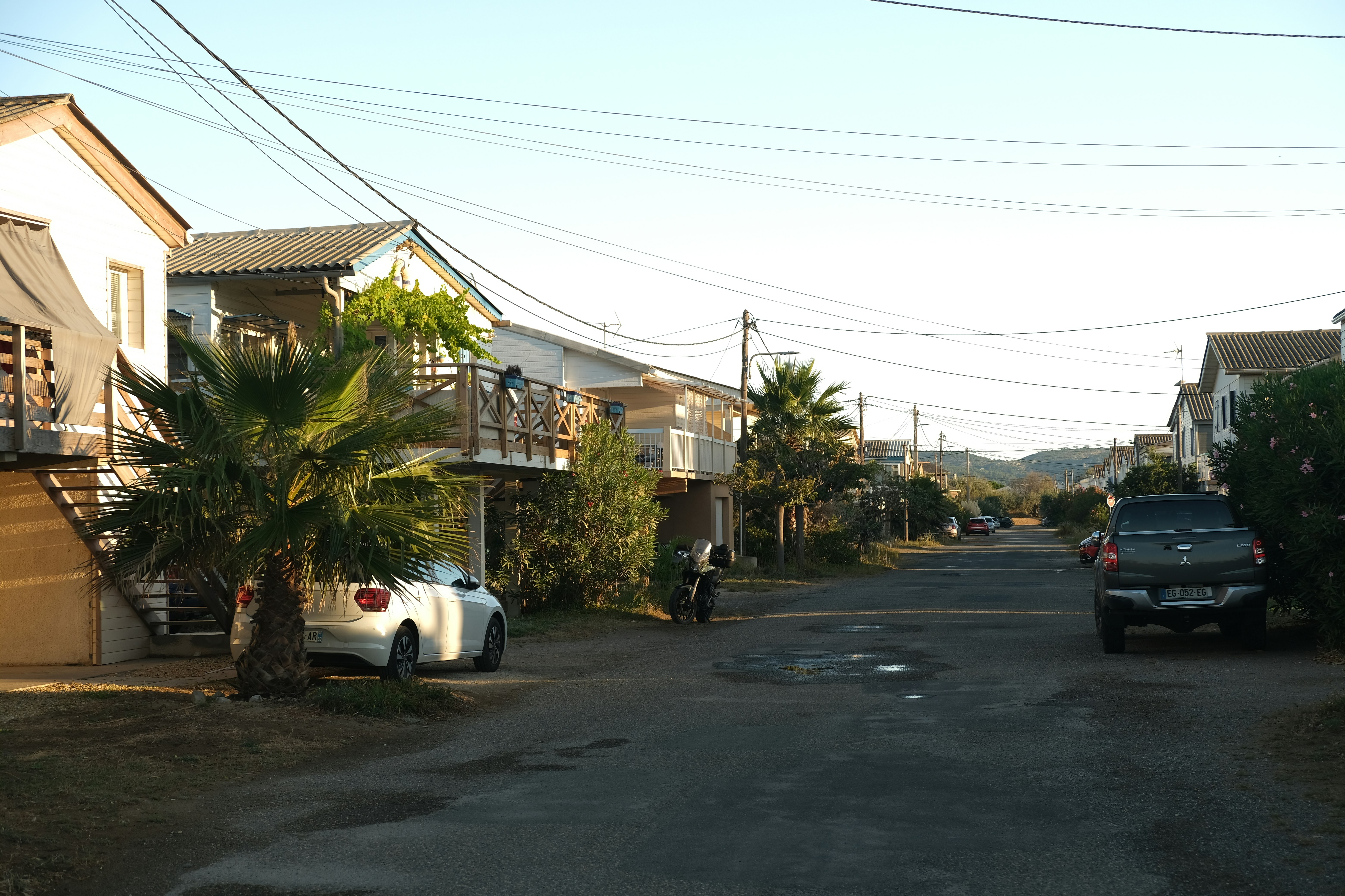 Quiet Coastal Cul-de-Sac: Sunlit Street, Palm and Cars