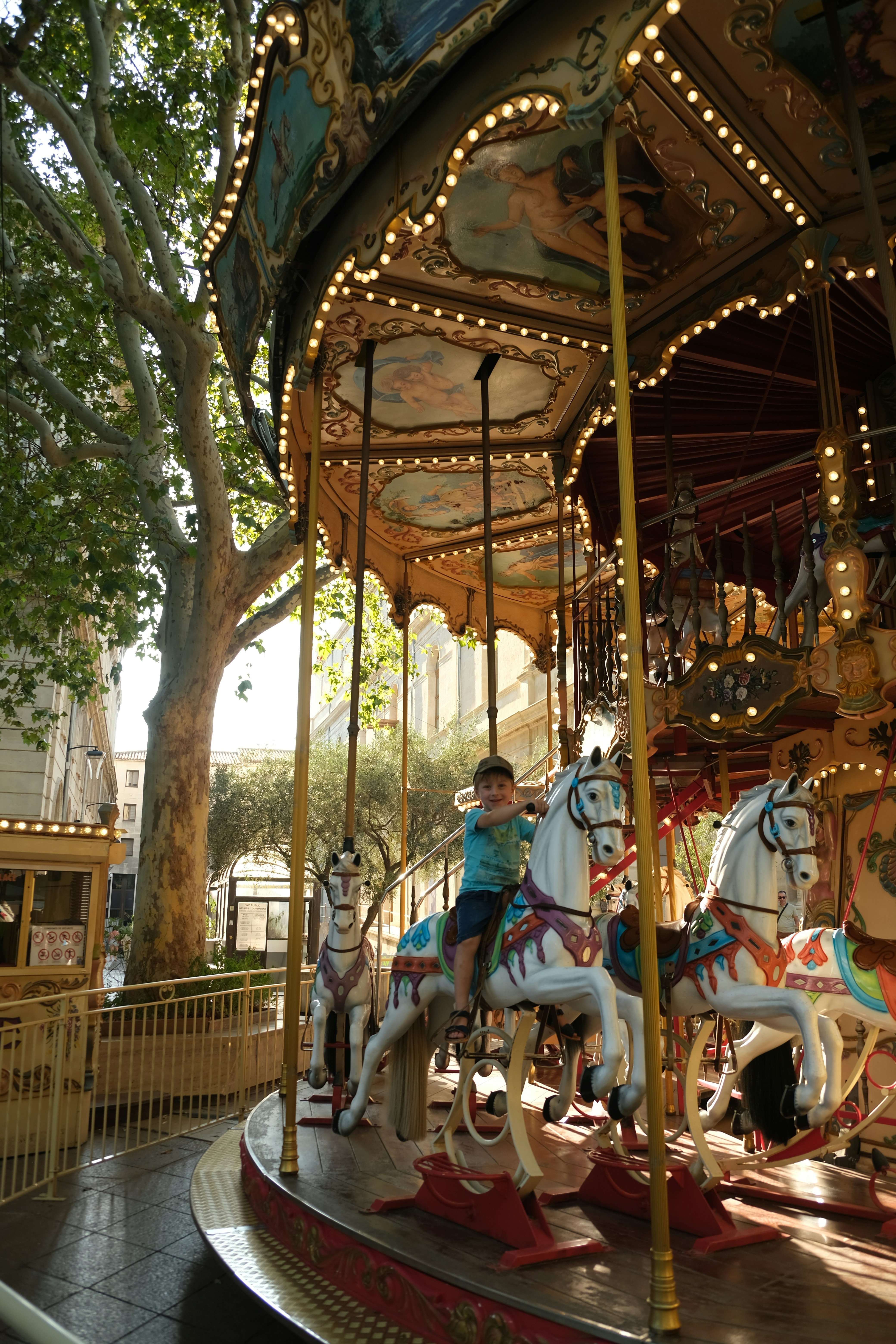 Carousel Reverie under Dappled Parisian Light