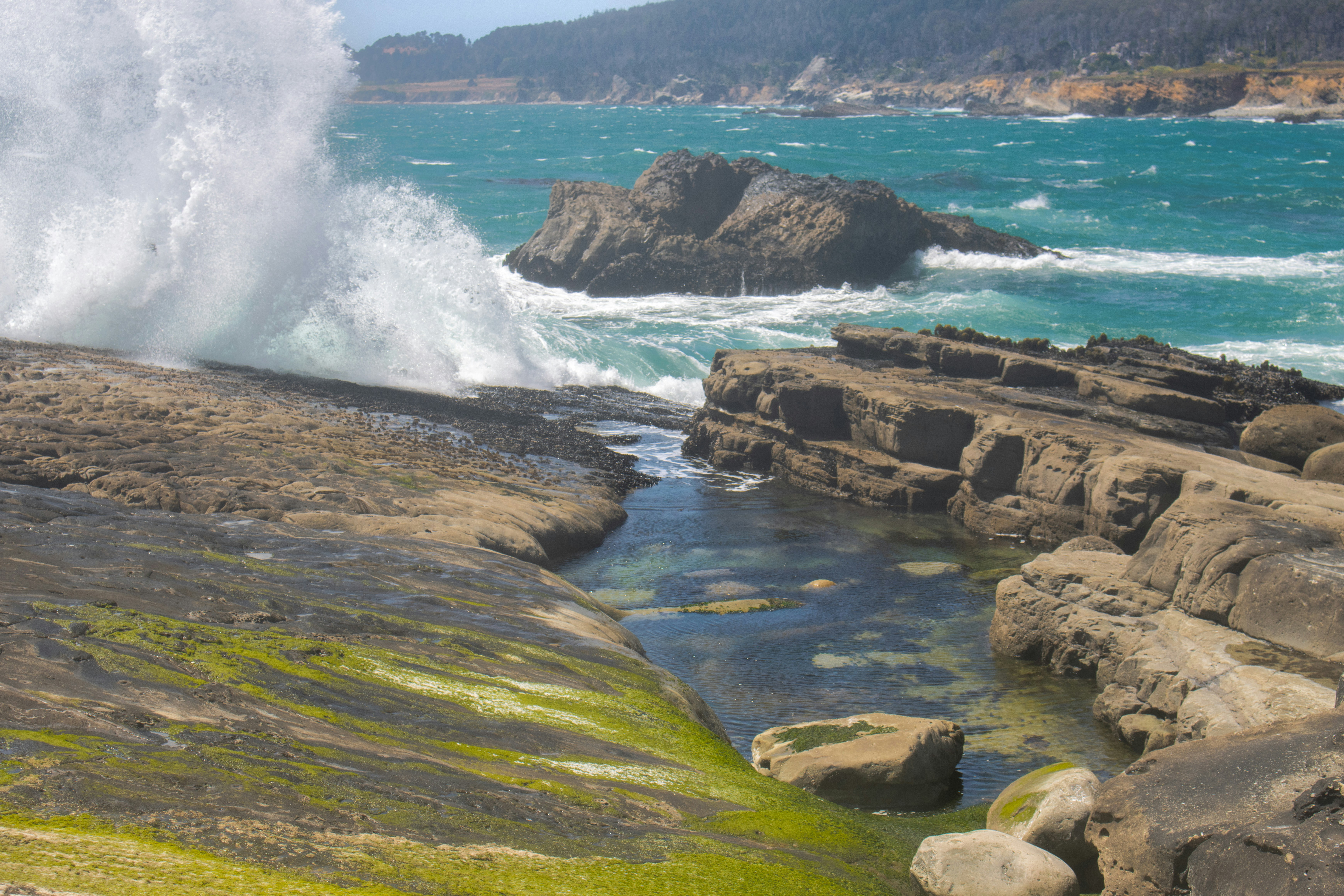 Surf Against Stone: Moss‑Lined Tides at the Narrow Cove