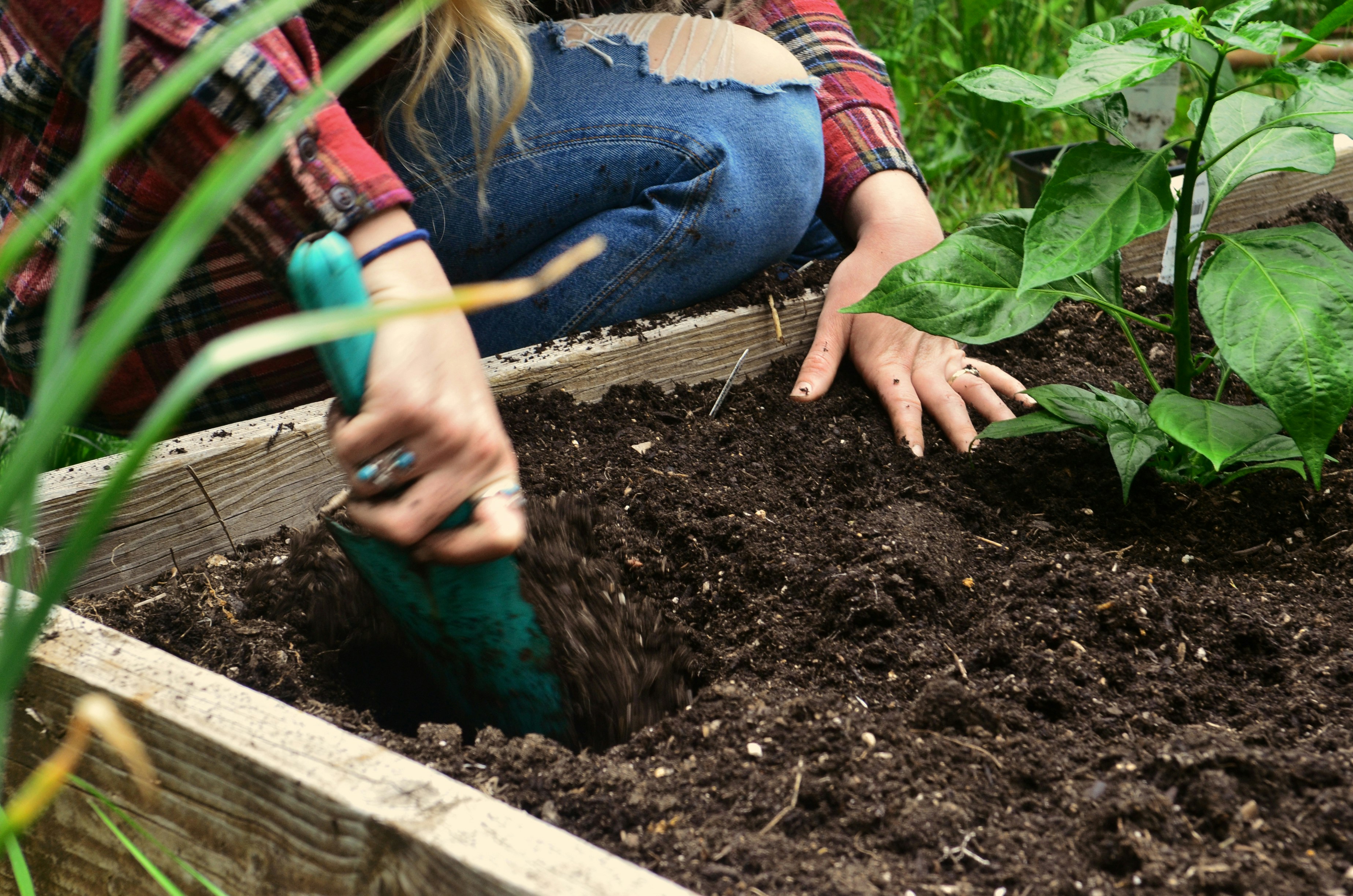 Hands in the Garden Soil: A Quiet Moment of Planting
