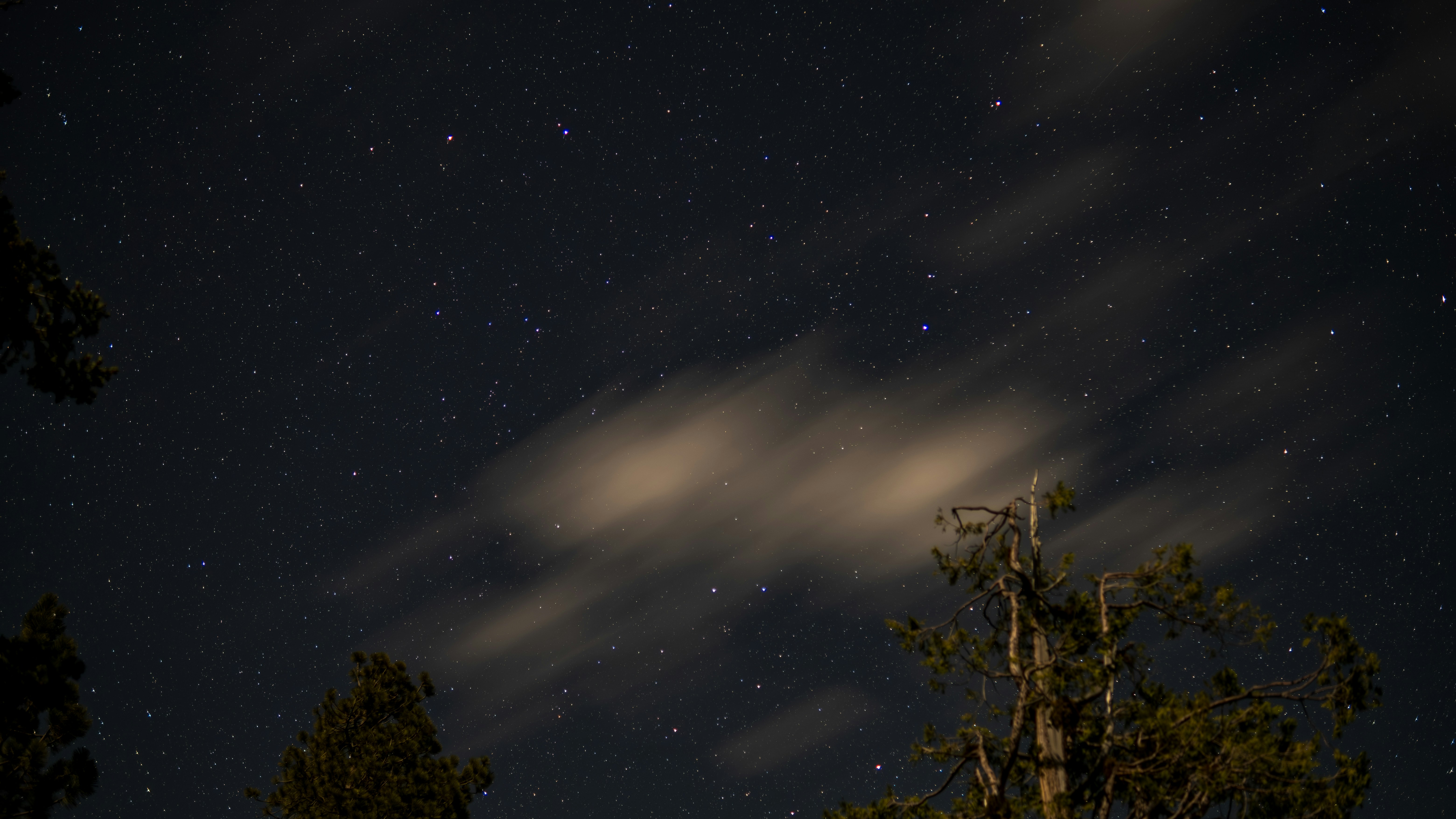 Stellar Veil Over Silent Pines