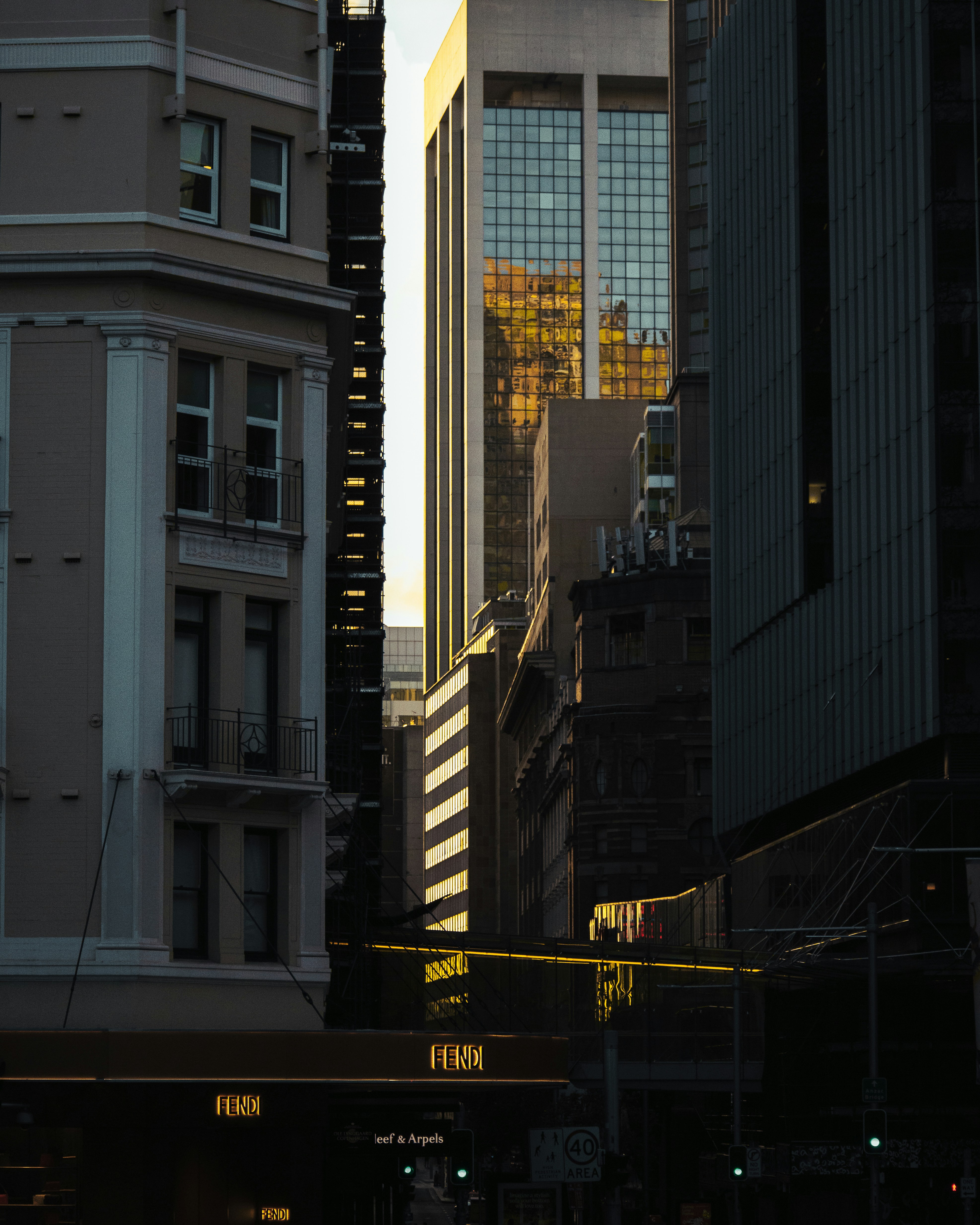 Gilded Glass Between Steel Giants
