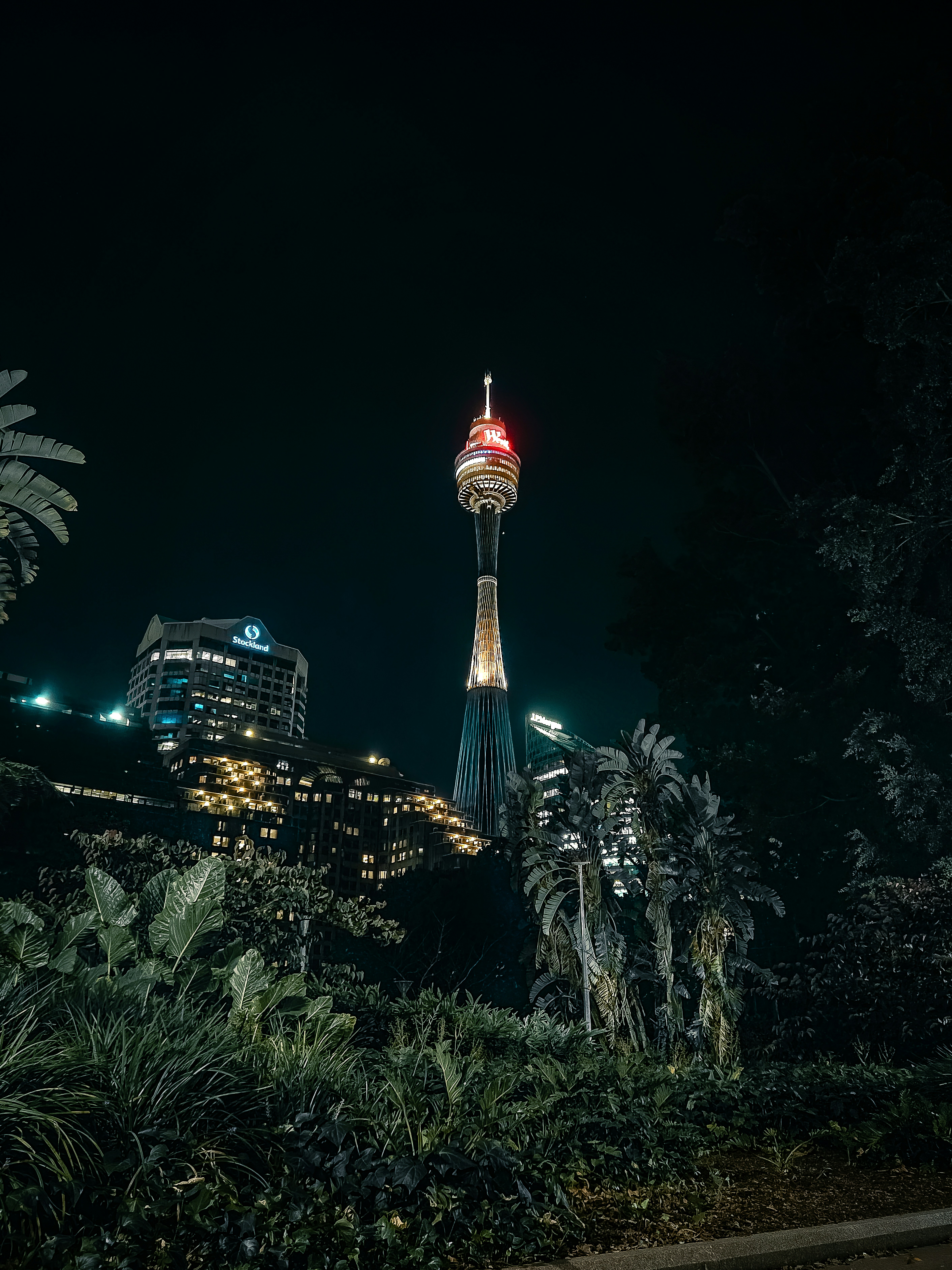Night Pulse: Taipei 101 Silhouette Rising Above Nightscape