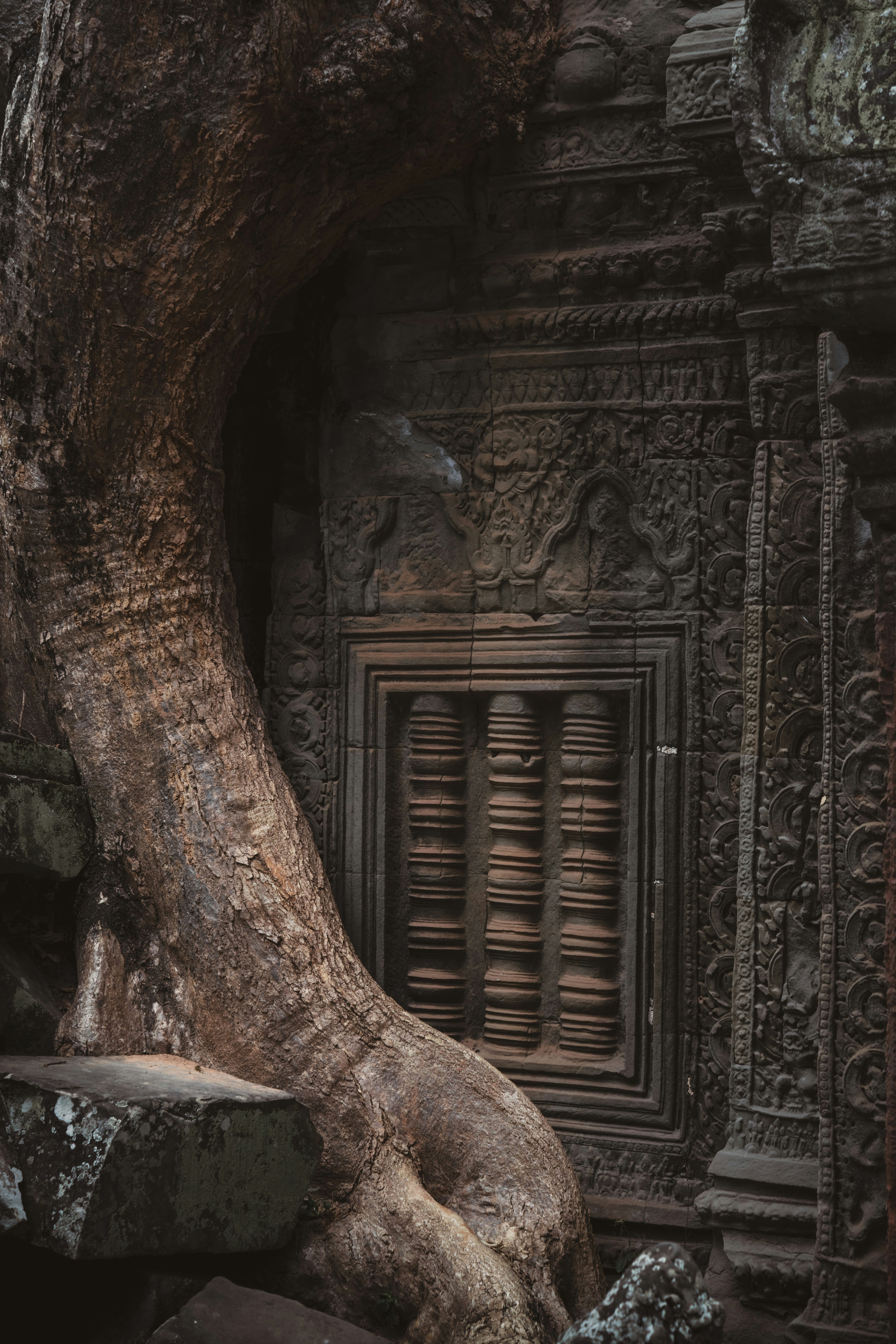 Rooted Gateways: Ancient Carved Door Reclaimed by a Giant Tree