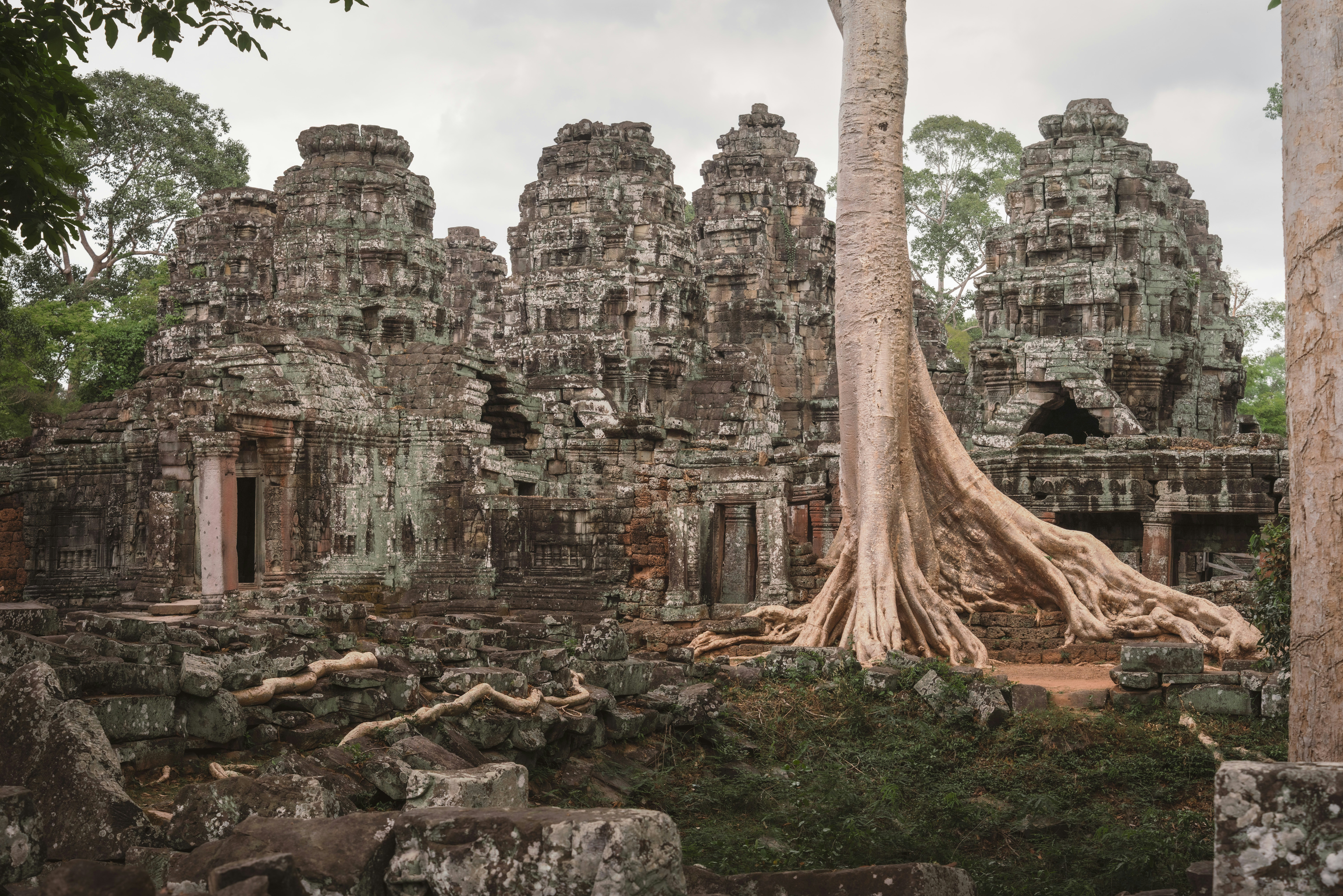 Rooted Temples: Stone Guardians entwined with a colossal banyan