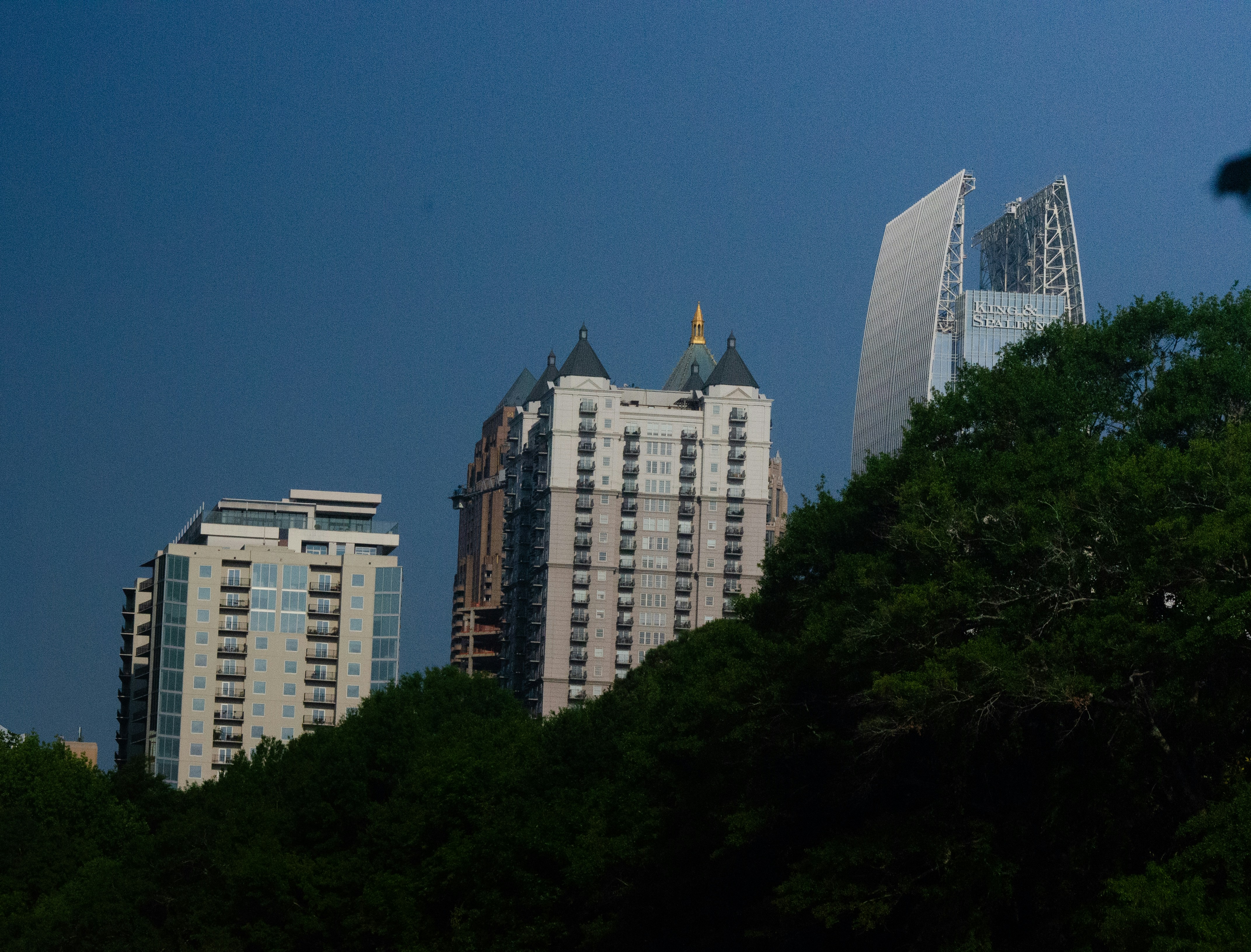 Urban Crown: Skyward Towers Above a Canopy of Green