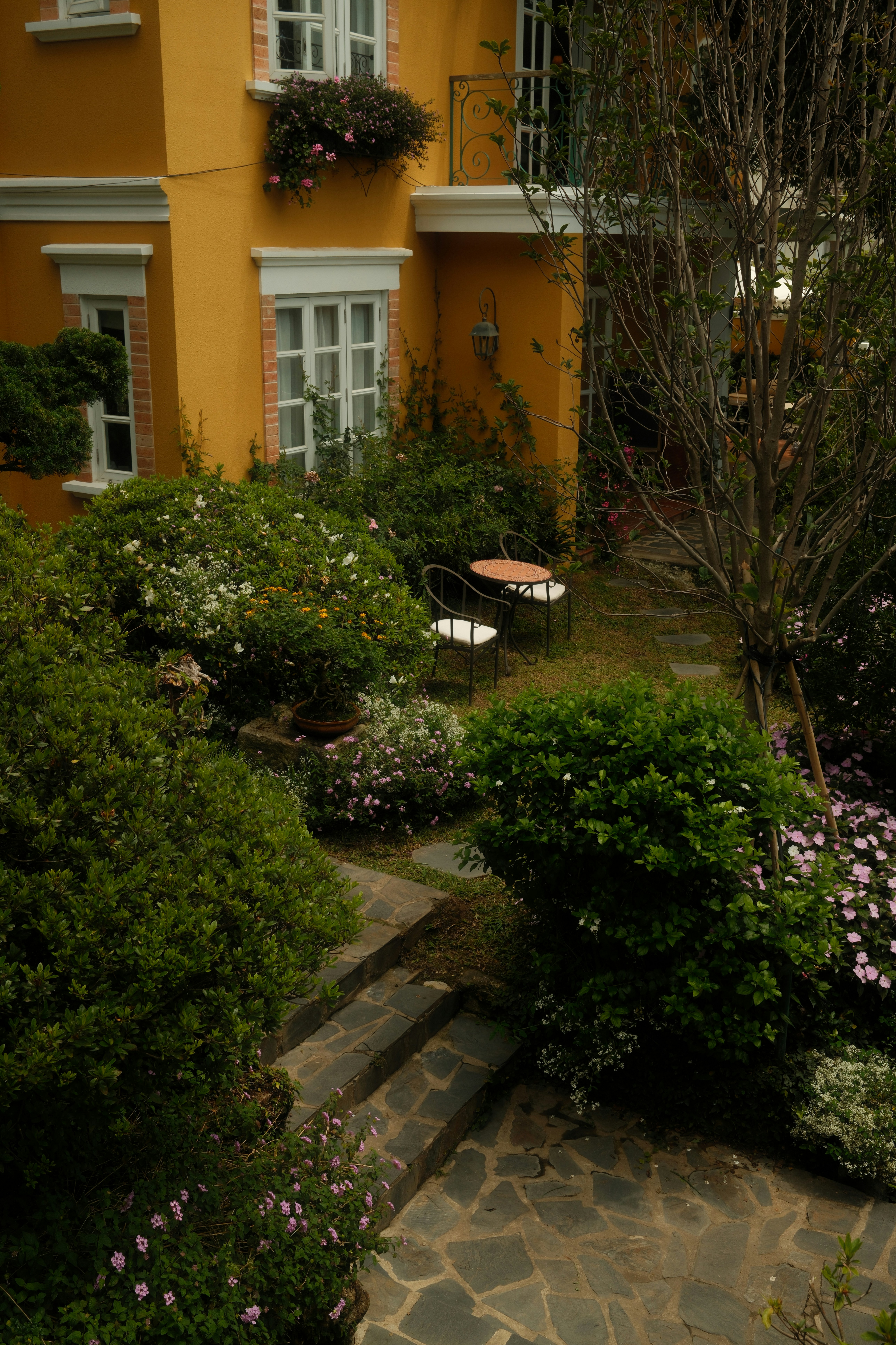 Sunlit courtyard bloom: a warm yellow villa framed by greenery