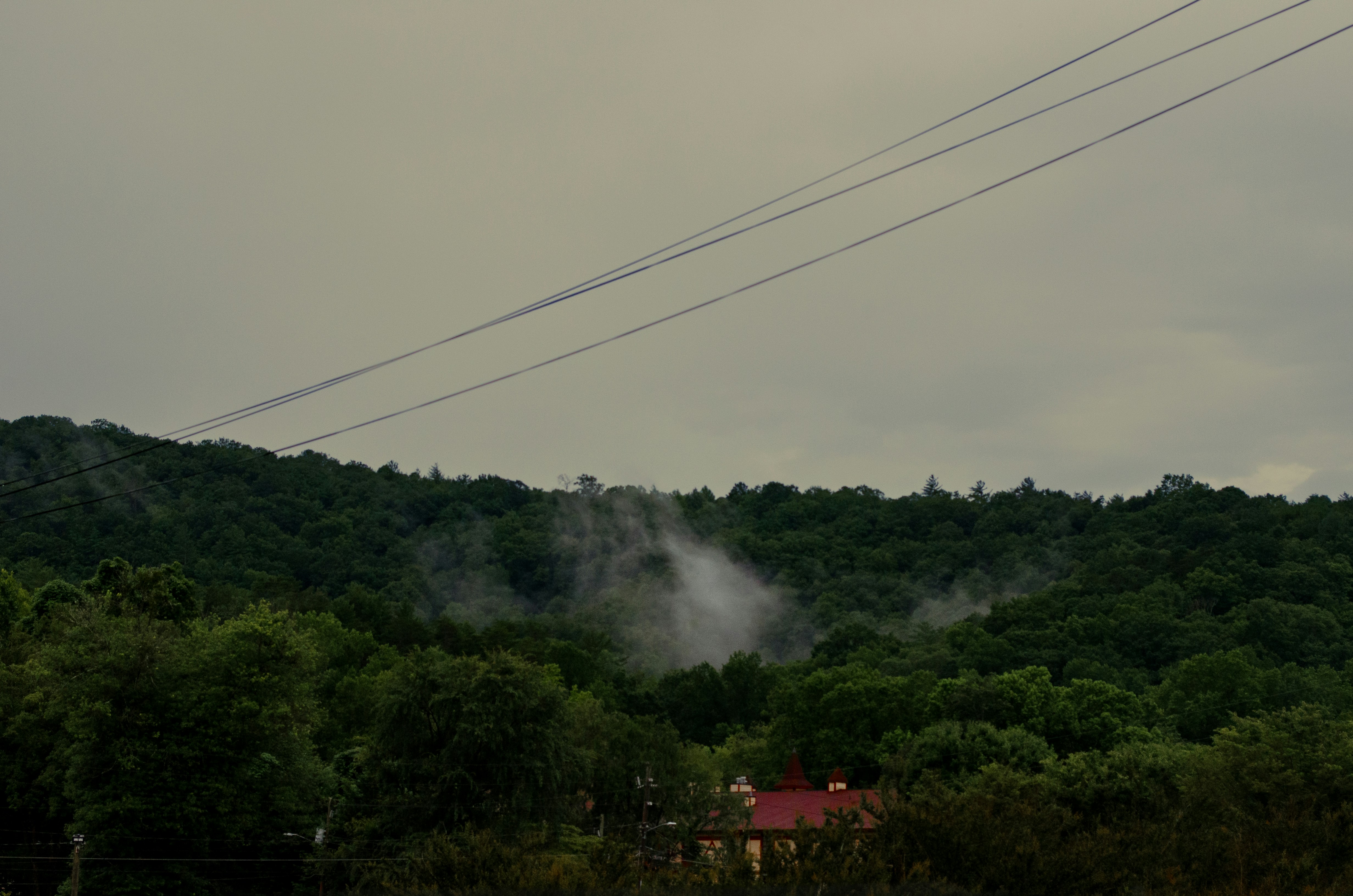 Low-Horizon Smoke and Power Lines Over a Tree-Line