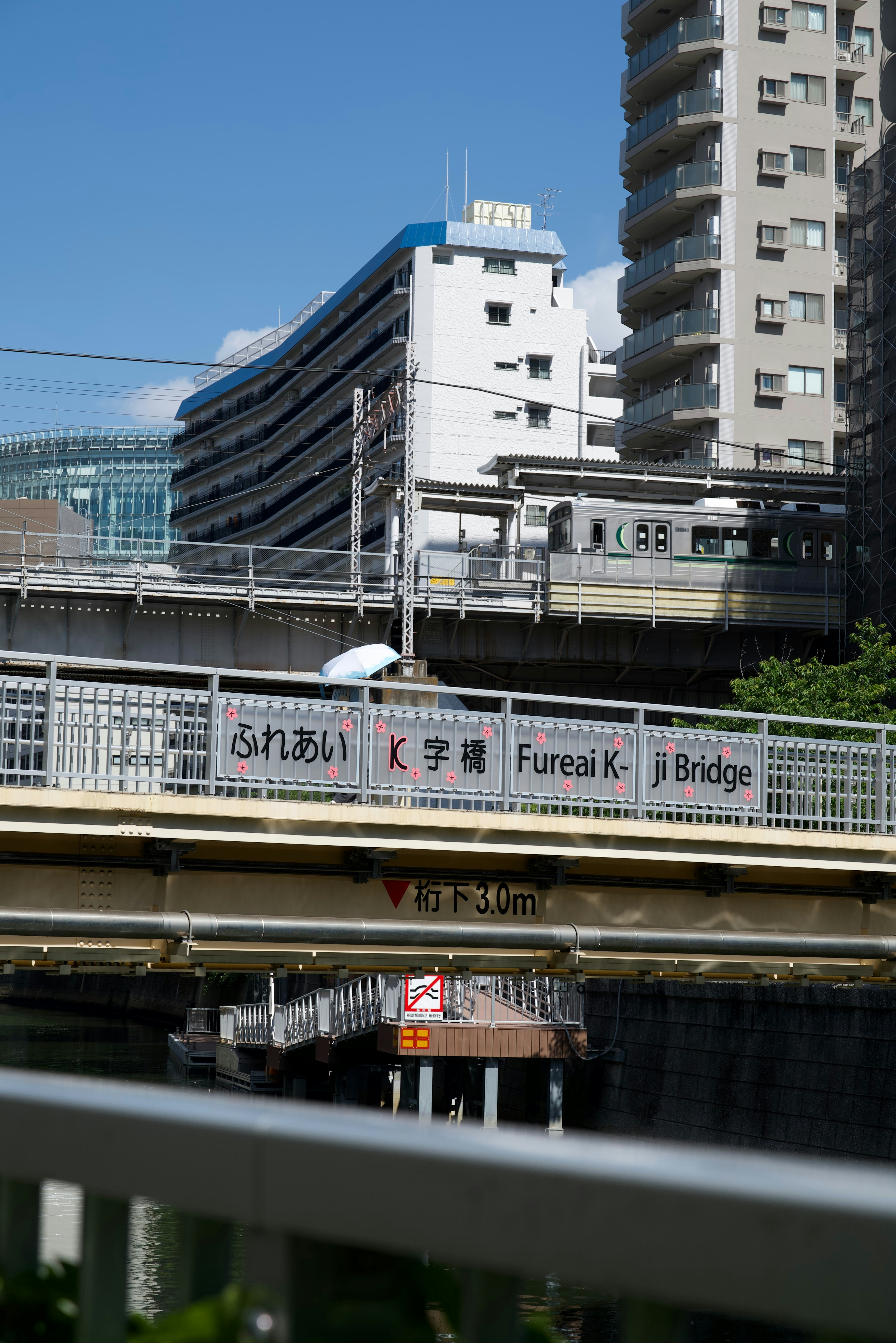 Overpass Echoes: A Quiet City Moment Under the Elevated Tracks