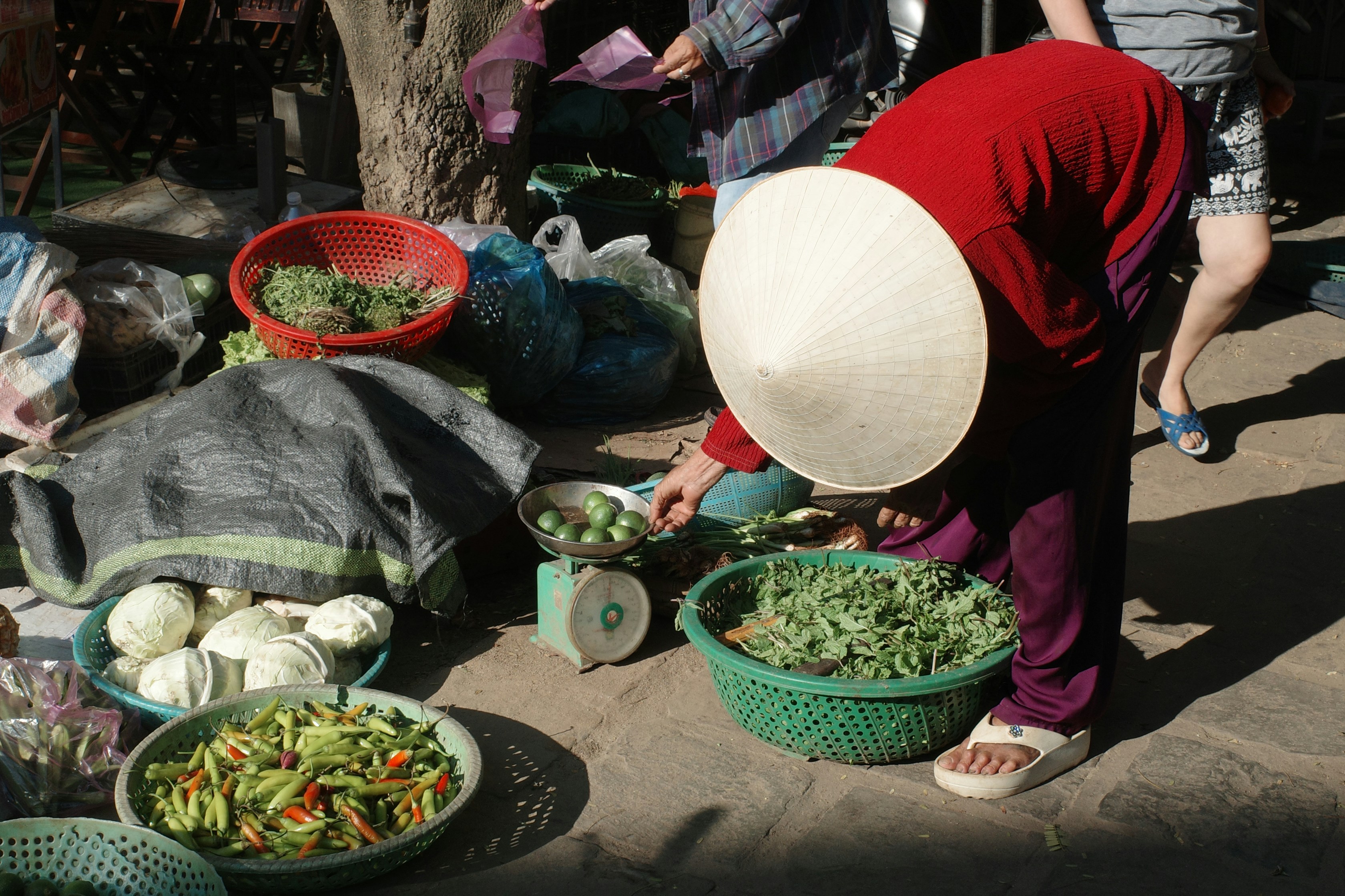 The Market Vendor at Dappled Light